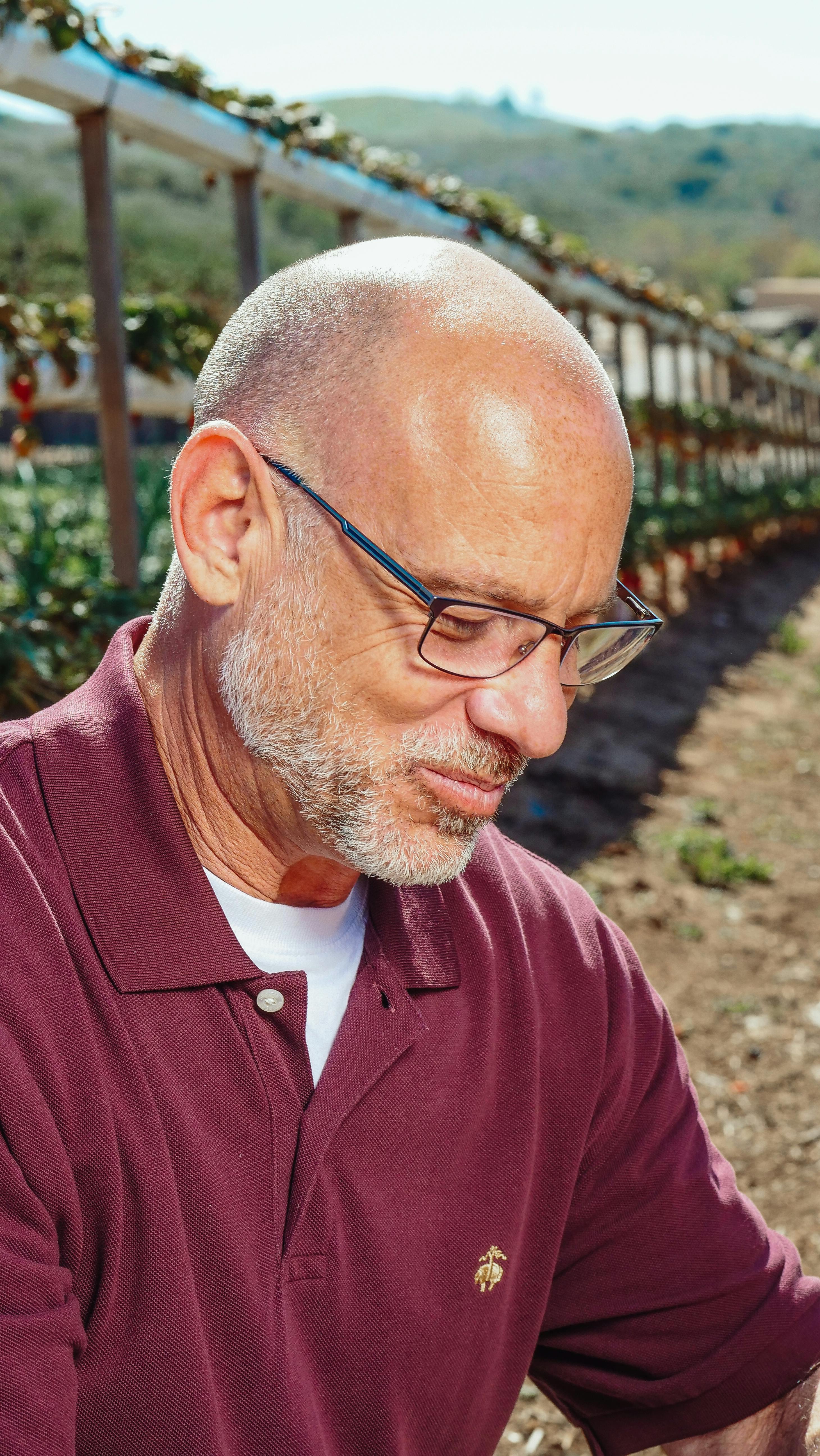 Maroon Photos, Download The BEST Free Maroon Stock Photos & HD Images