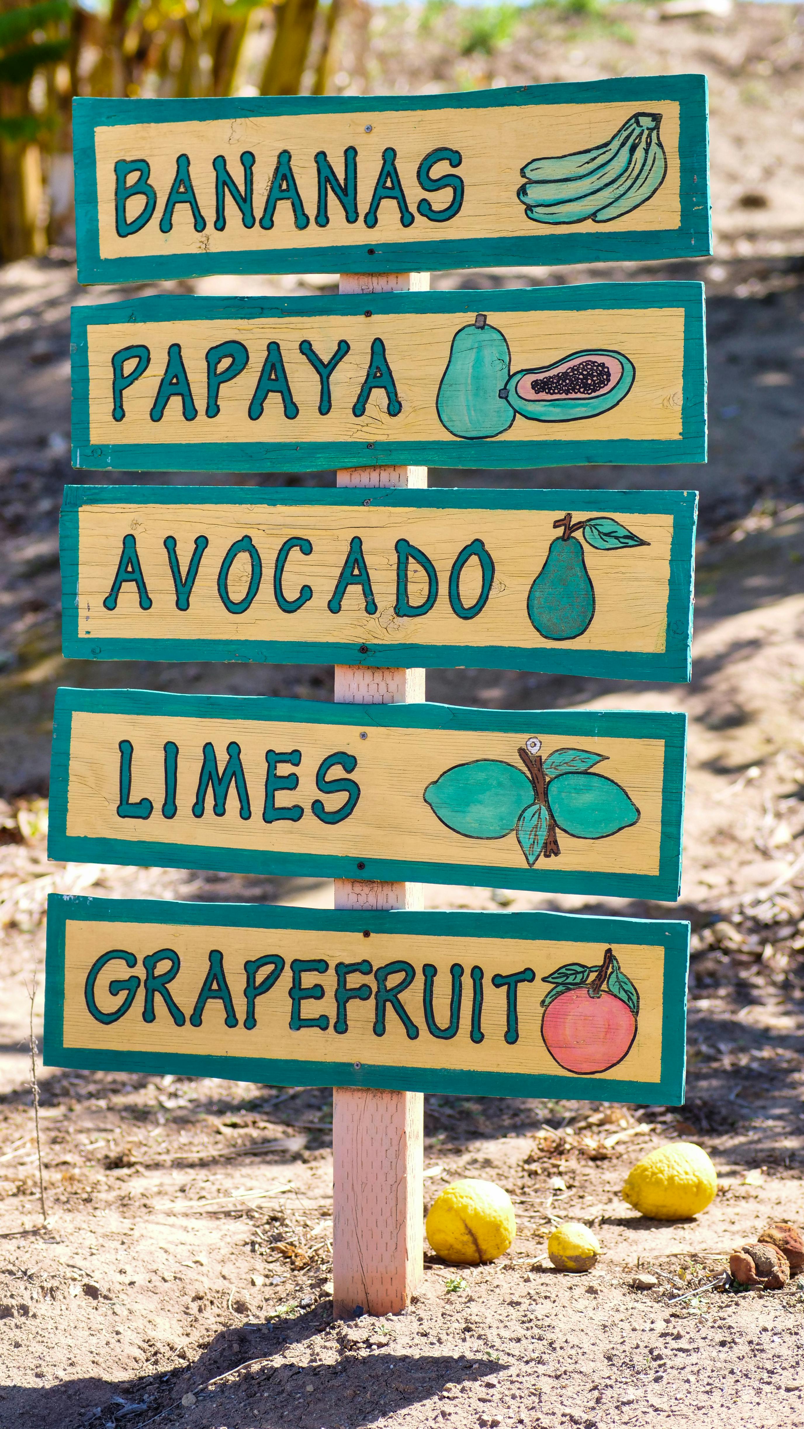 Signal Fruit Photos, Download The BEST Free Signal Fruit Stock Photos ...