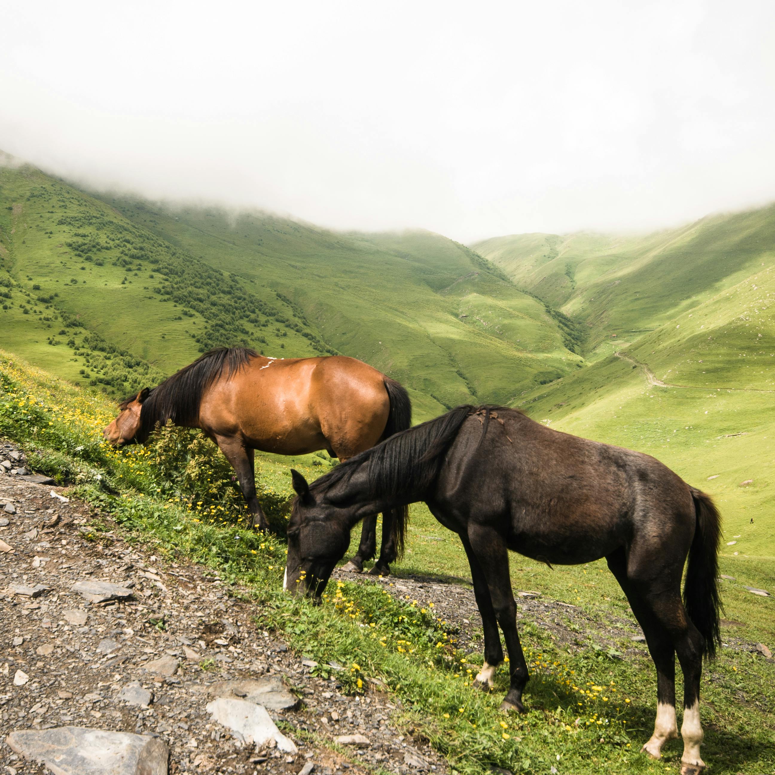 emil lin – fotografie