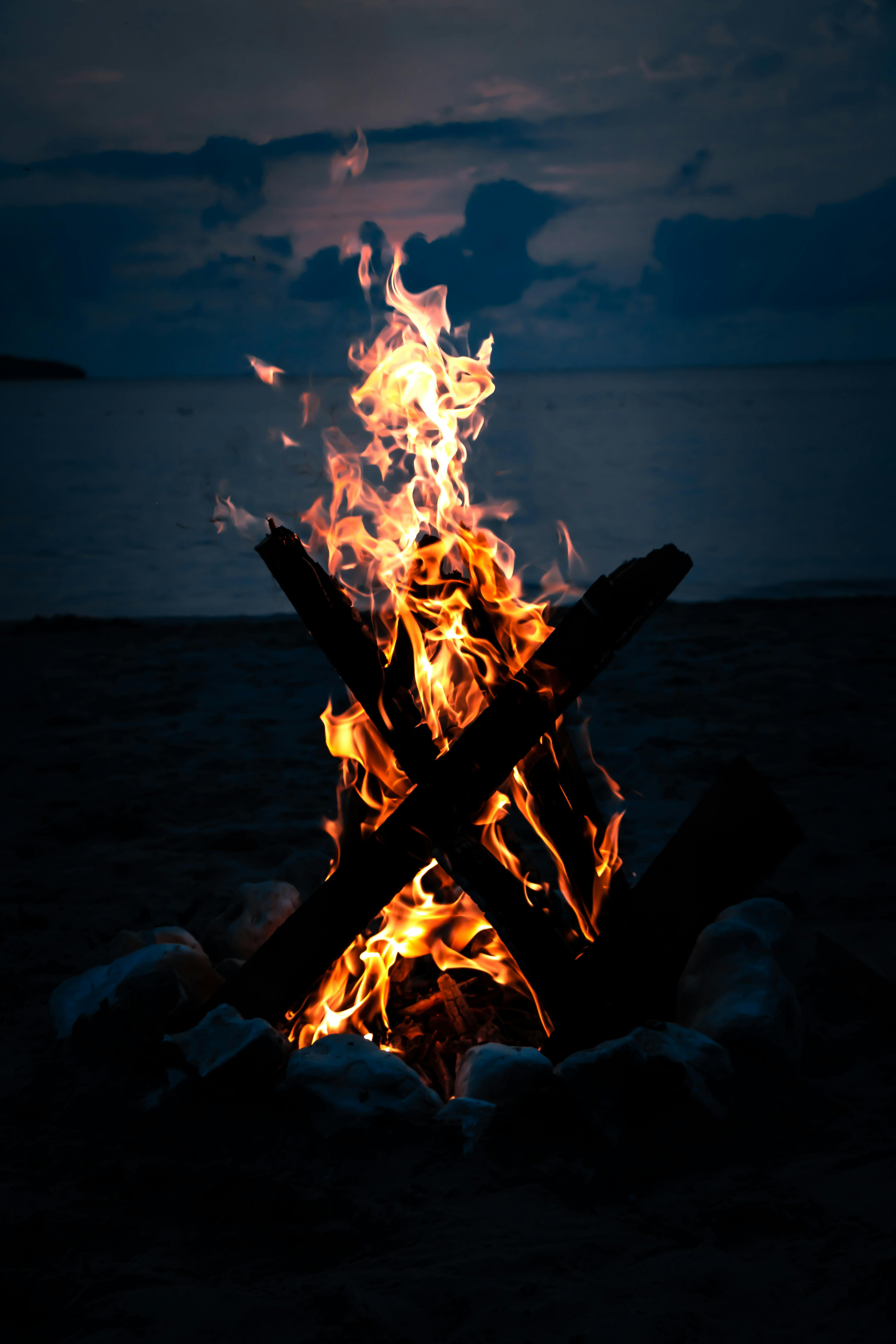 Campfire on Beach Shore · Free Stock Photo