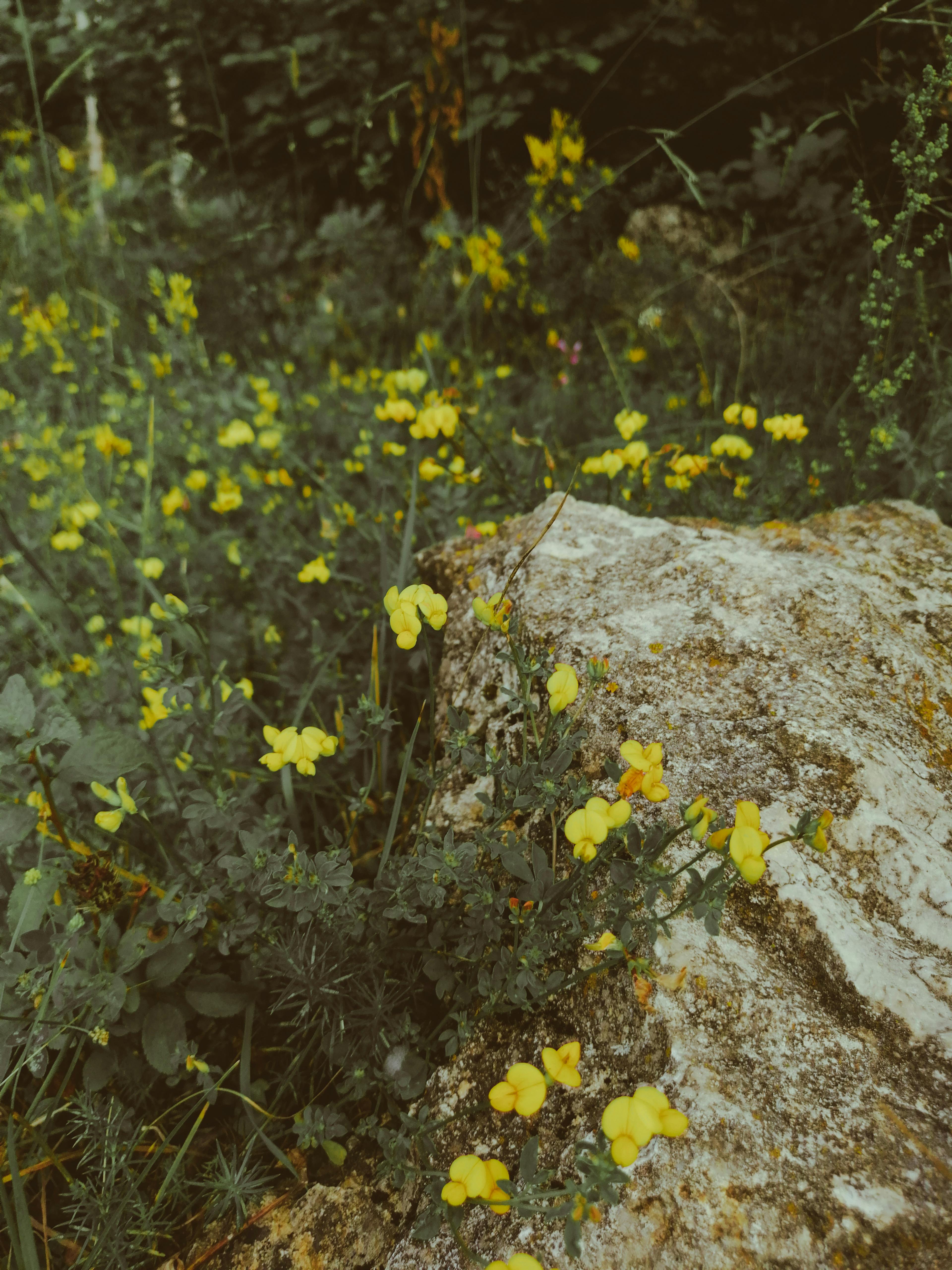 Mavera Photography - Photography