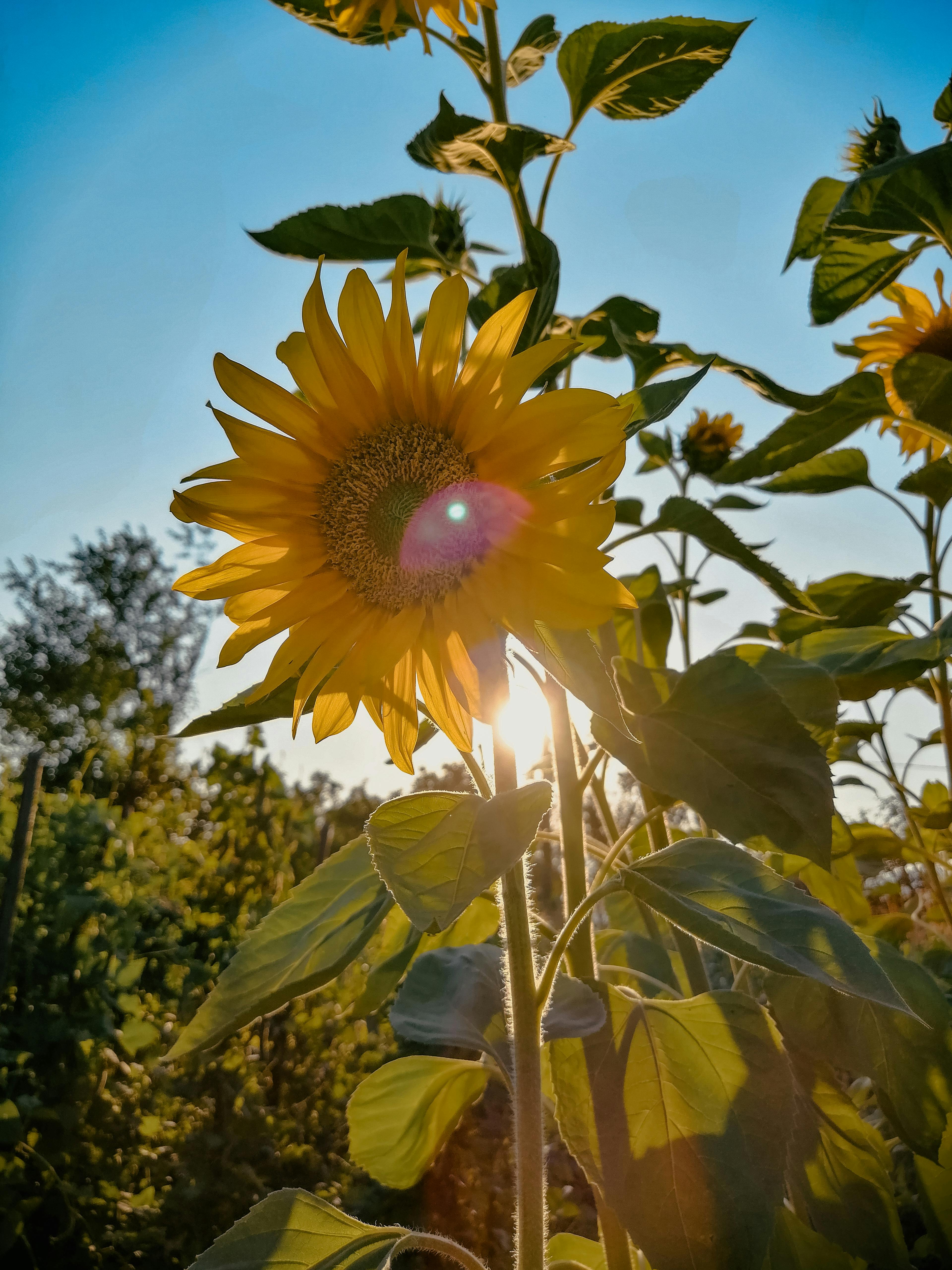 Mavera Photography - Fotoğrafçılık