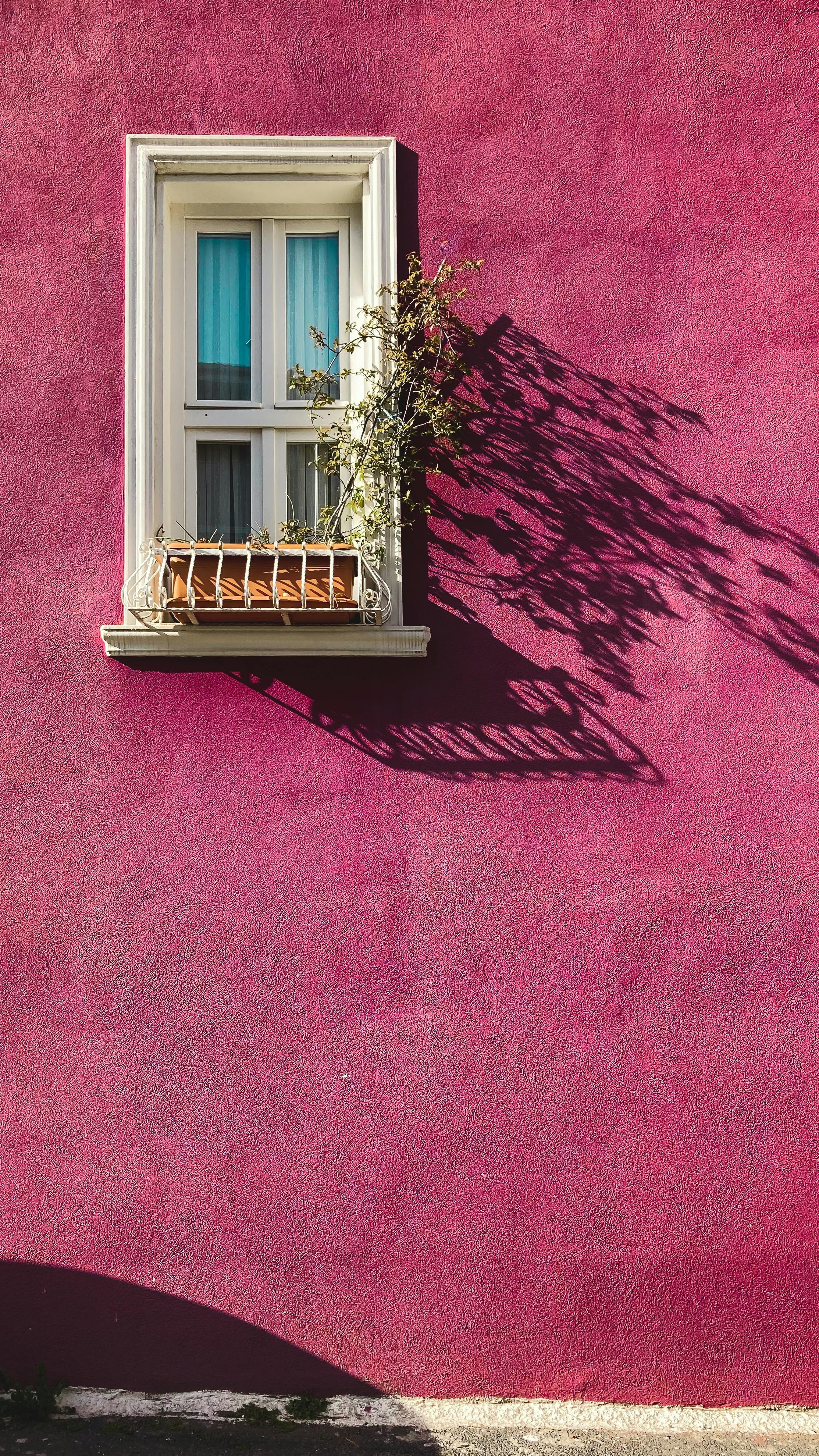 Window On Pink Wall · Free Stock Photo