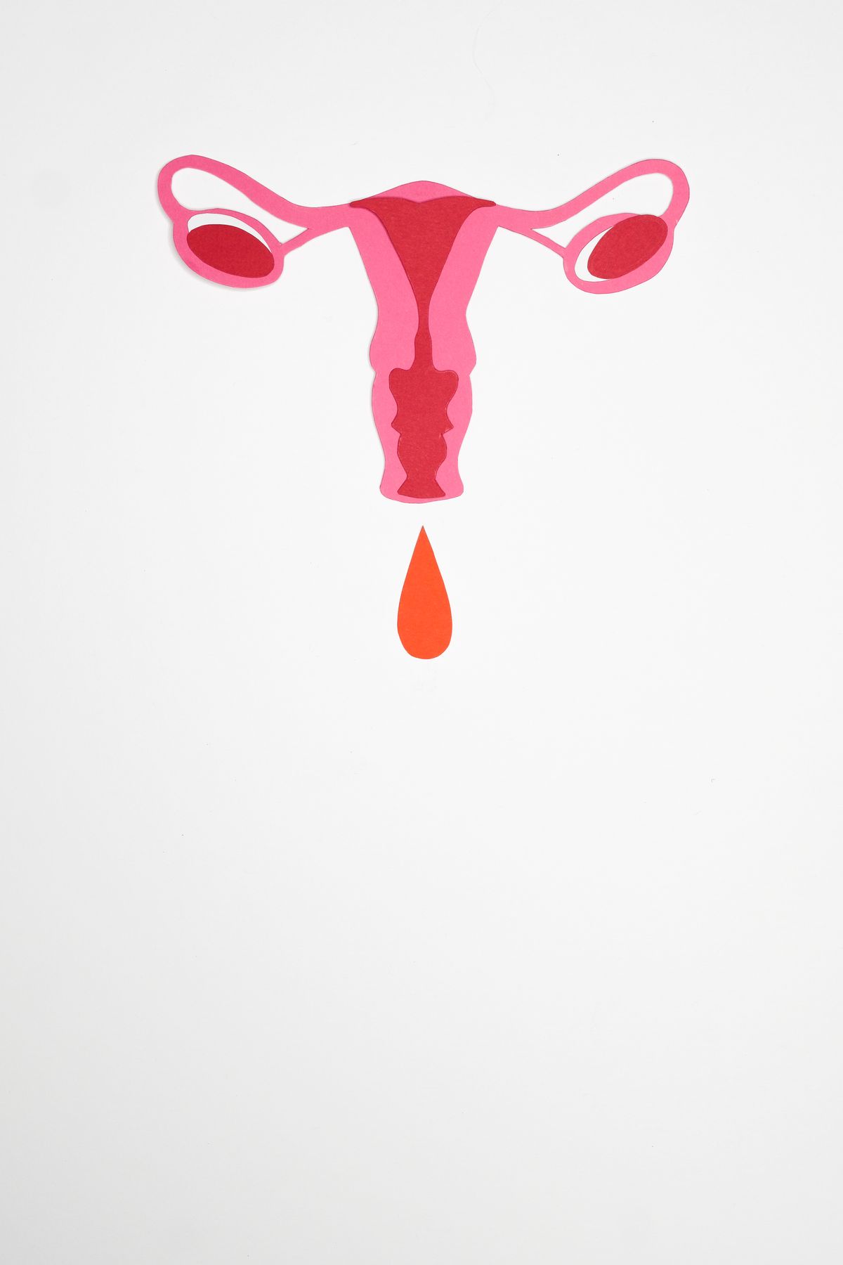 Cervix Photos, Download The BEST Free Cervix Stock Photos & HD Images