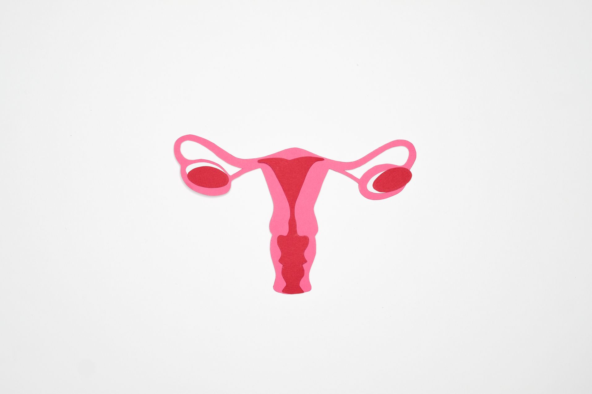 Understanding Horse Hormones and the Equine Endocrine System