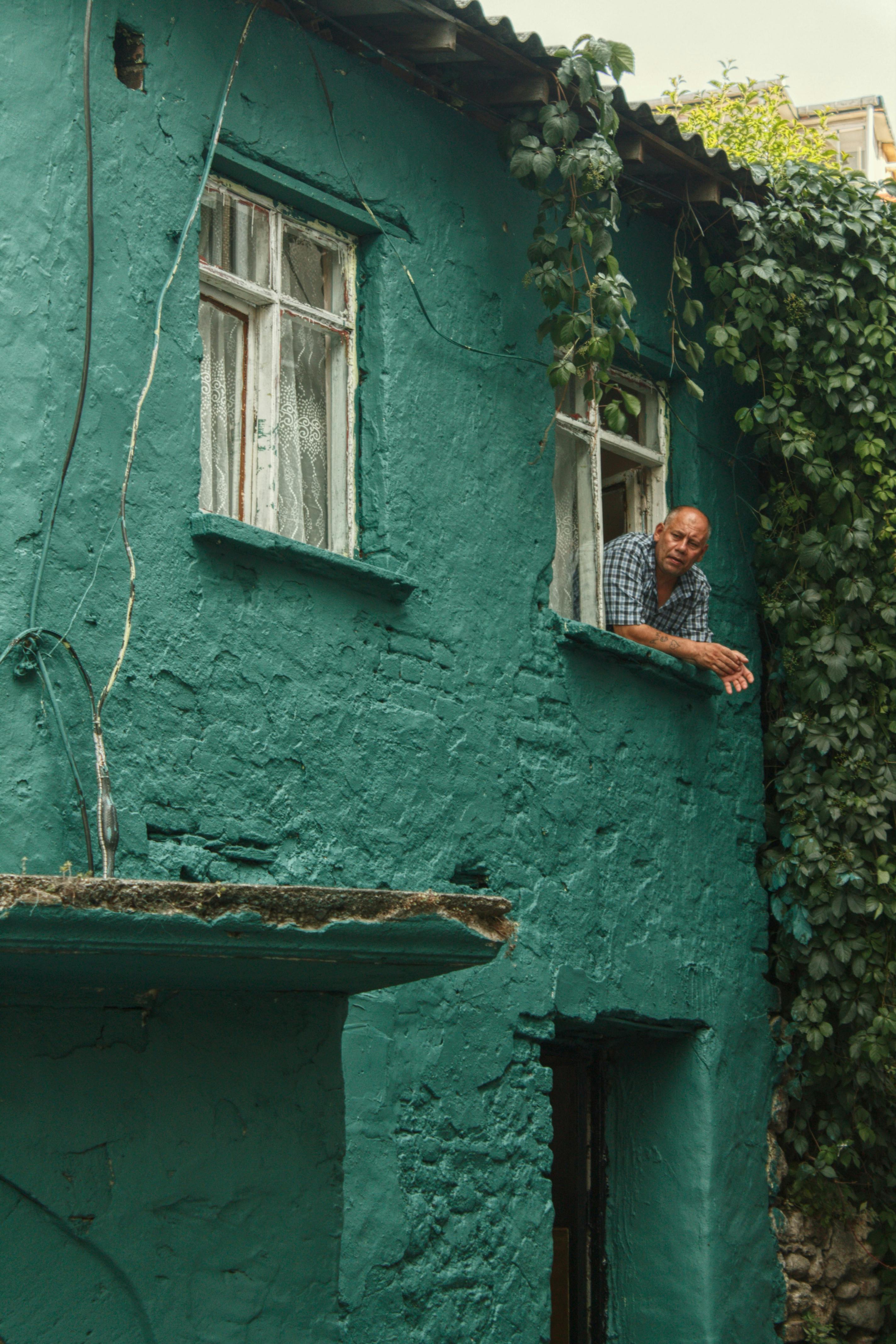 Photo of a Man on a Window Near Green Vines · Free Stock Photo