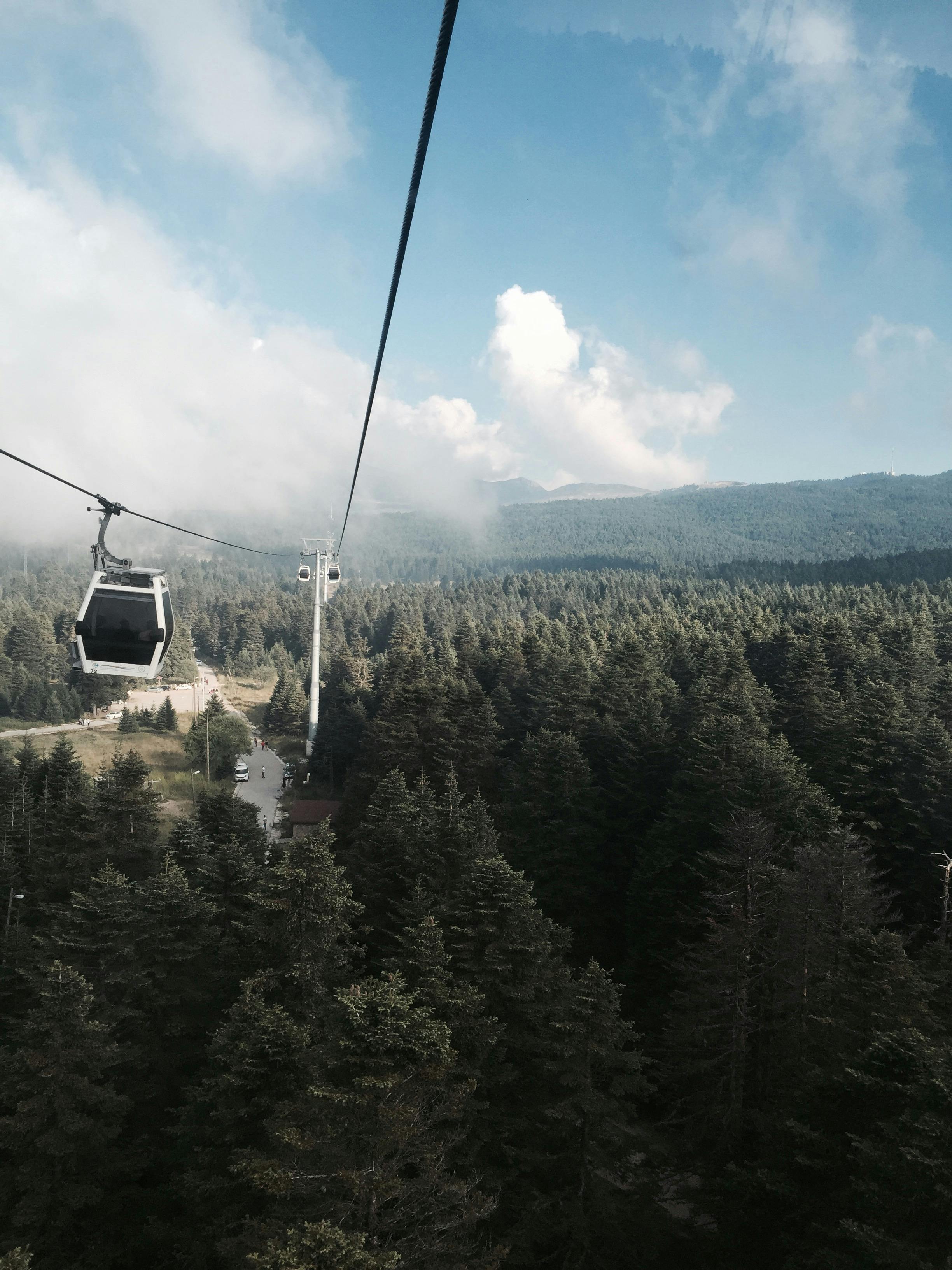Cable Car over Treetops · Free Stock Photo