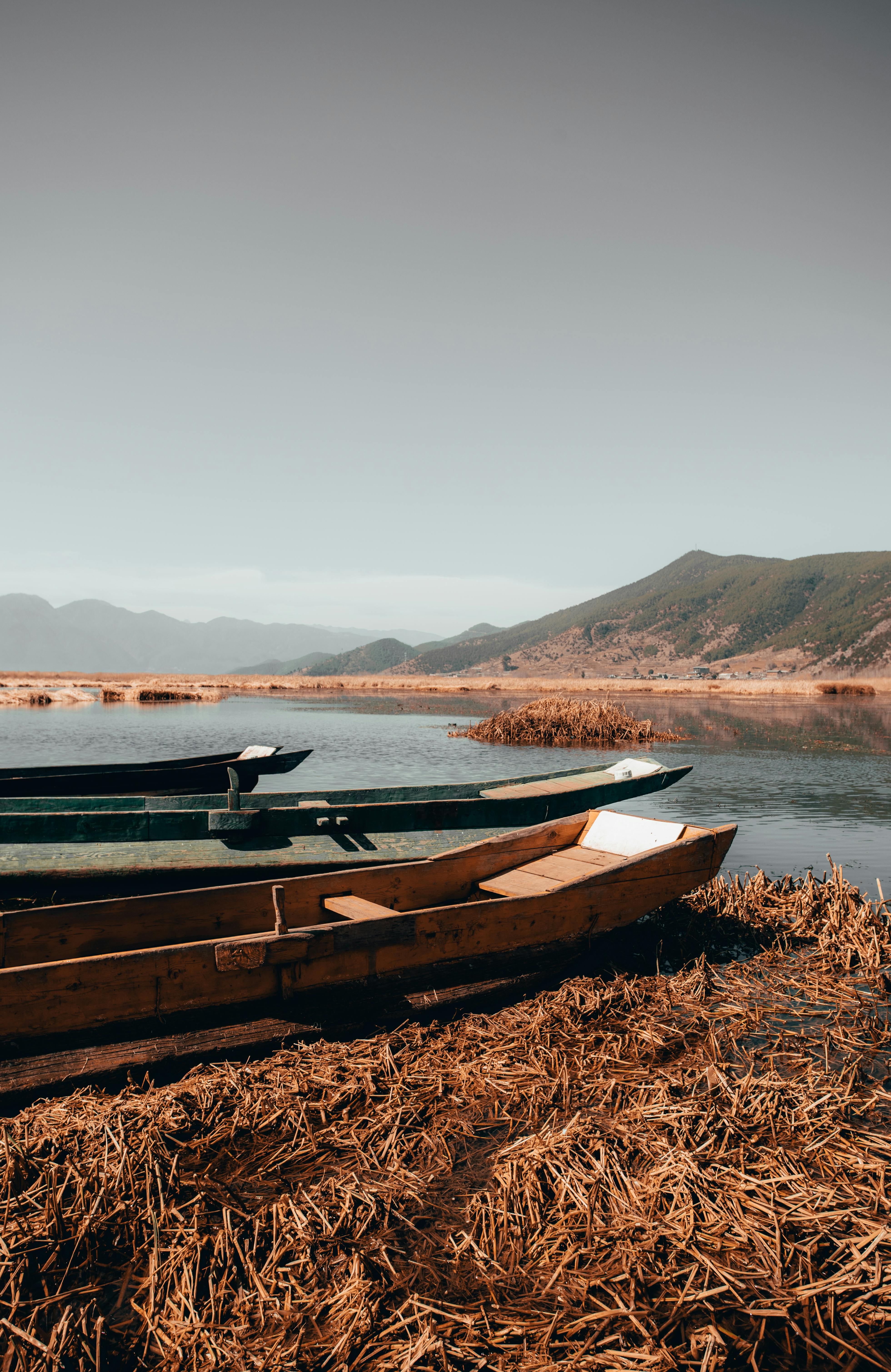Empty Boats on Lakeshore · Free Stock Photo