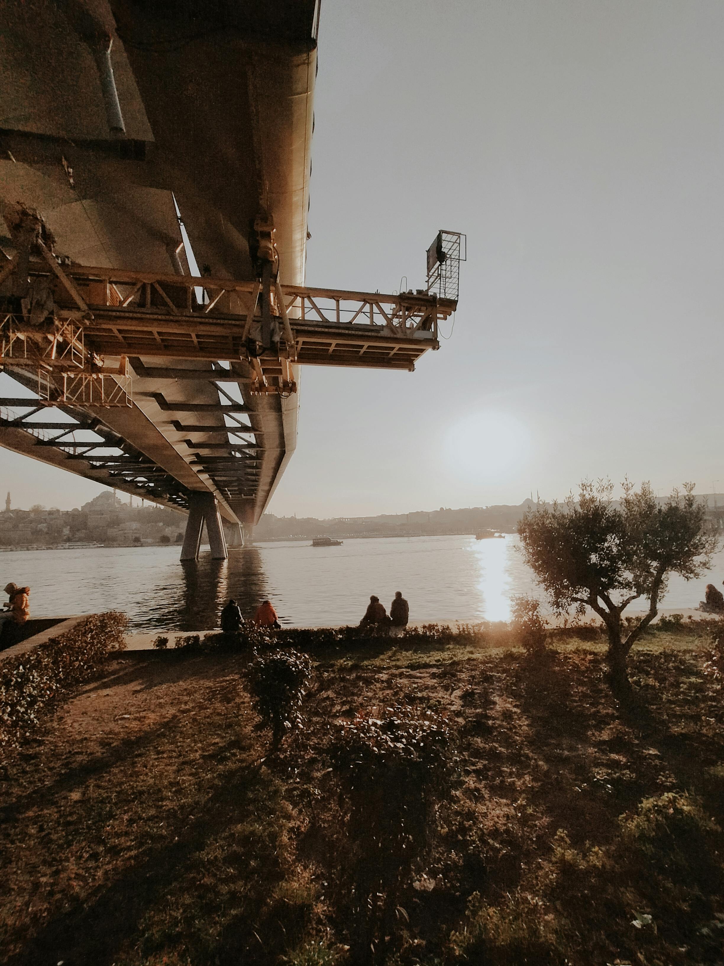 Person Looking at Bridge · Free Stock Photo