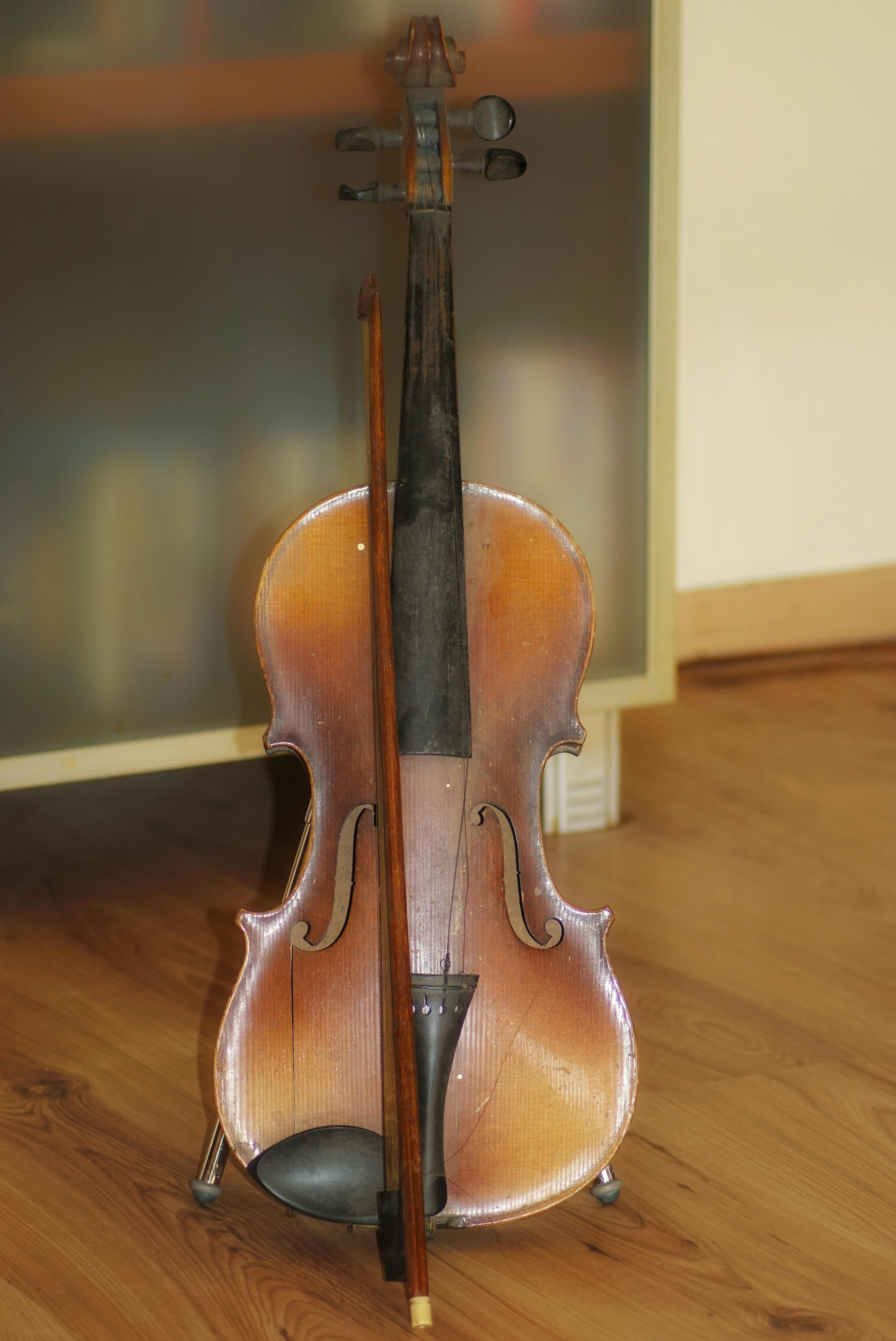 What is peer relationships? – Focuskeeper Glossary