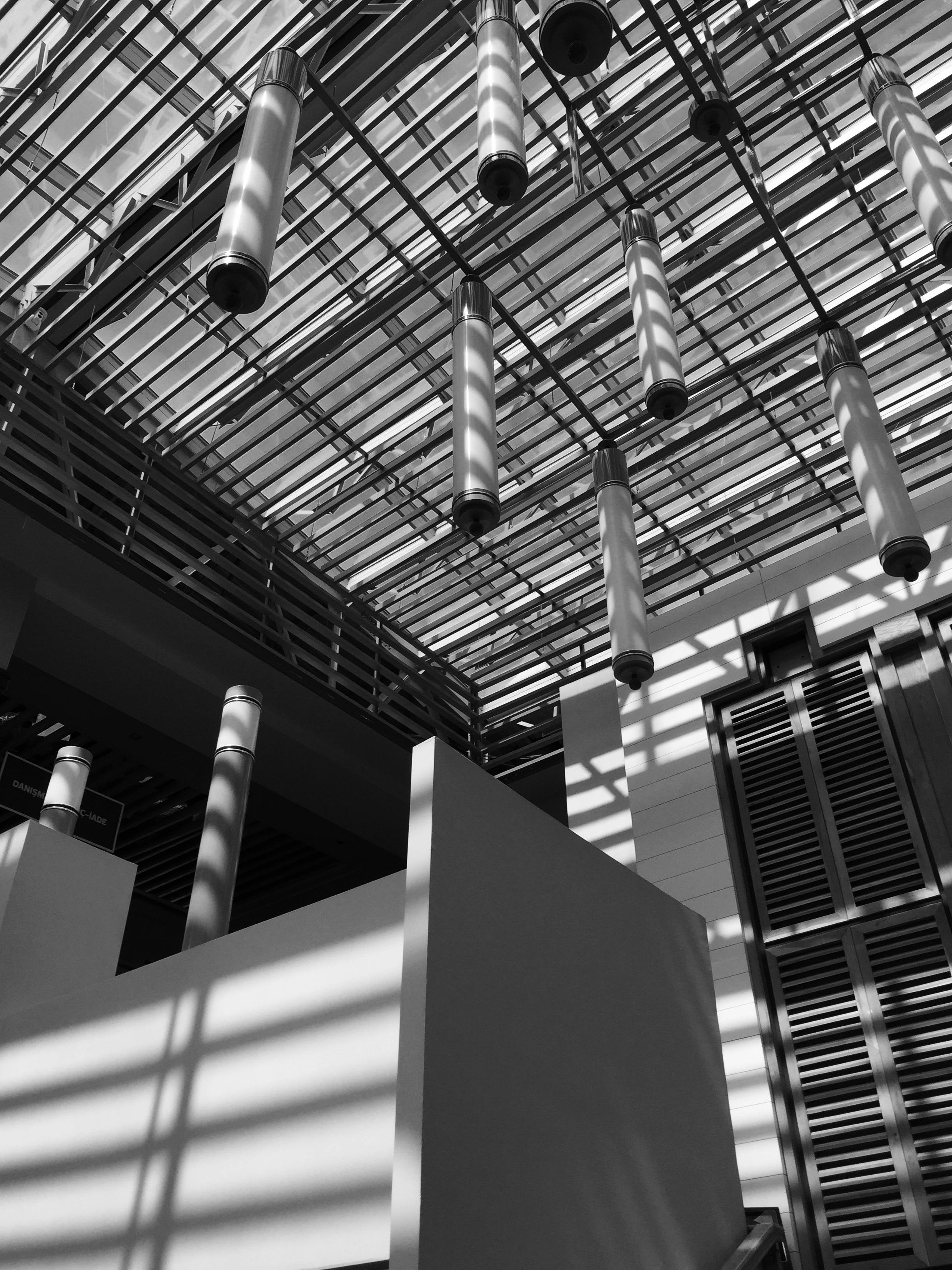 Steel Bars Wall with Metal Wire Mesh Ceiling · Free Stock Photo