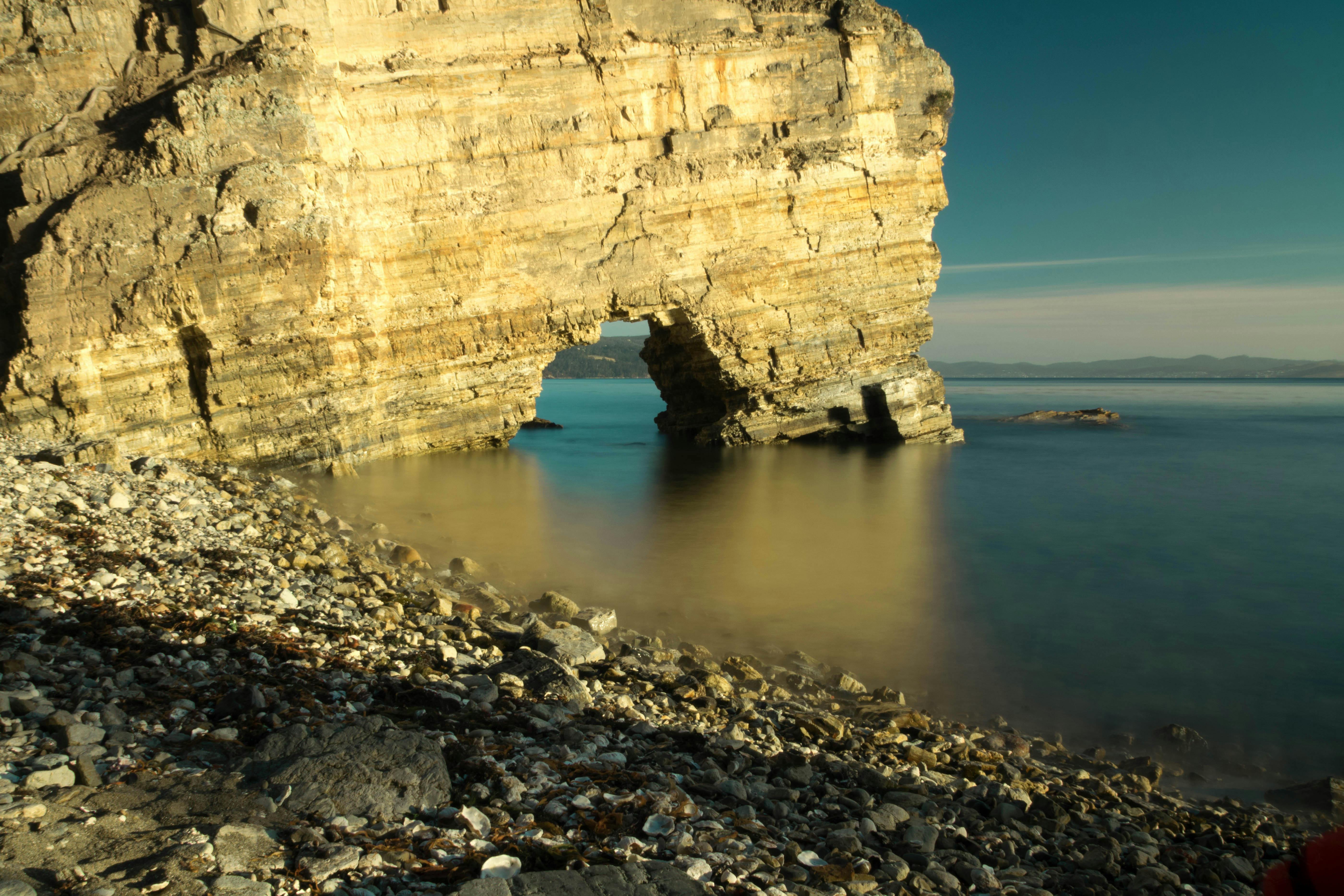 Free stock photo of animals, australia, beach