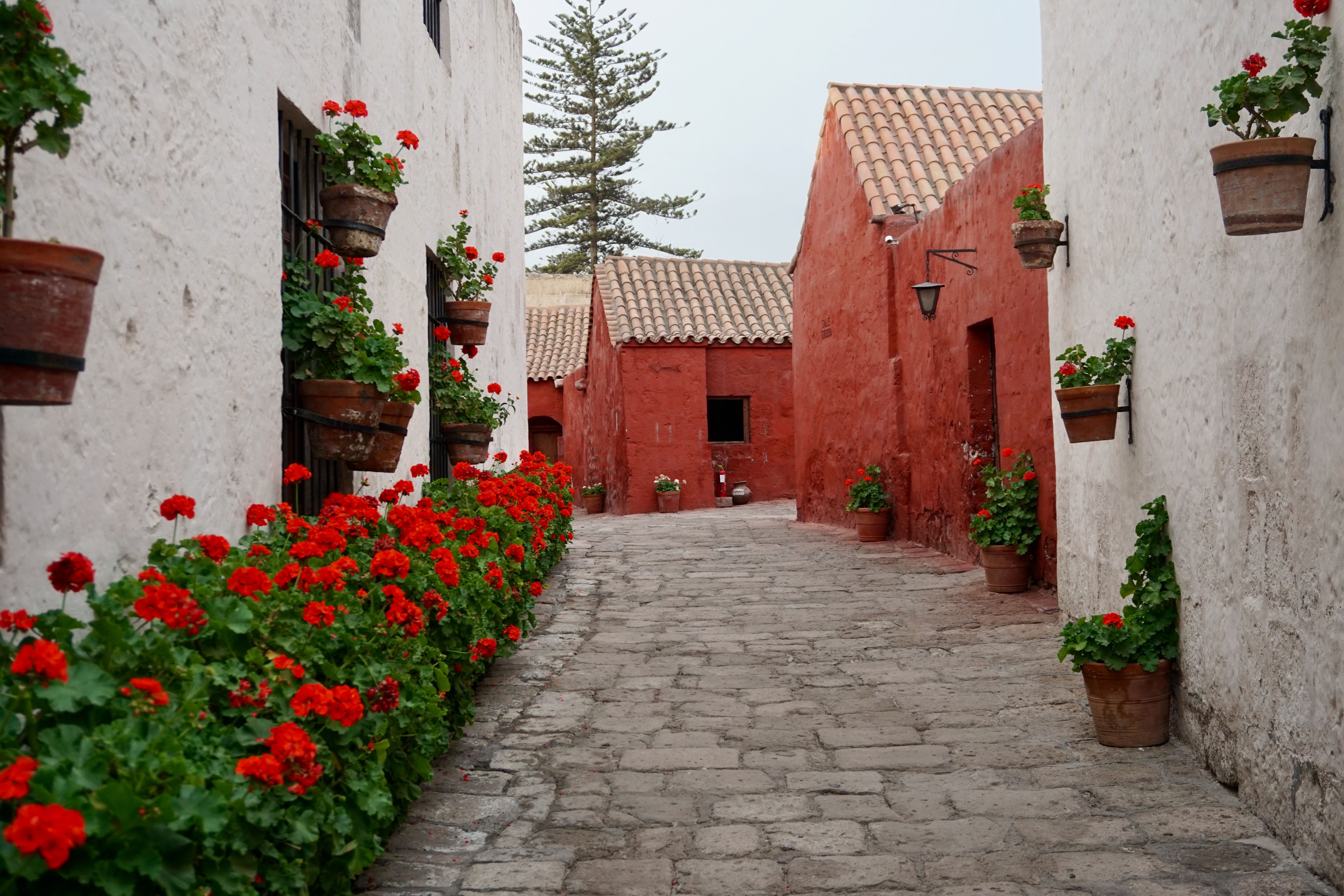 Red Brick Building With Green Plants on the Side · Free Stock Photo