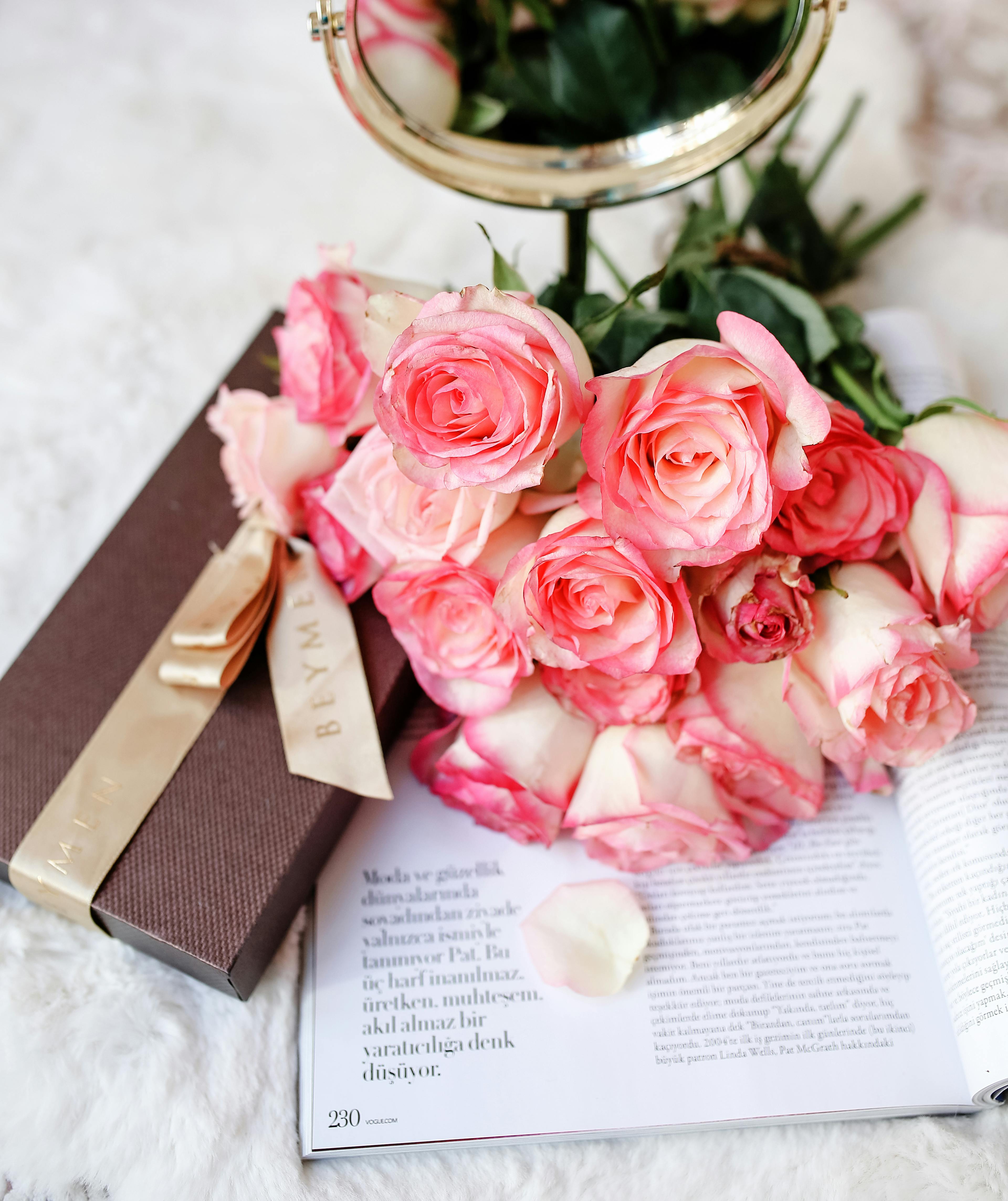 Red Roses in Close-Up Photography · Free Stock Photo