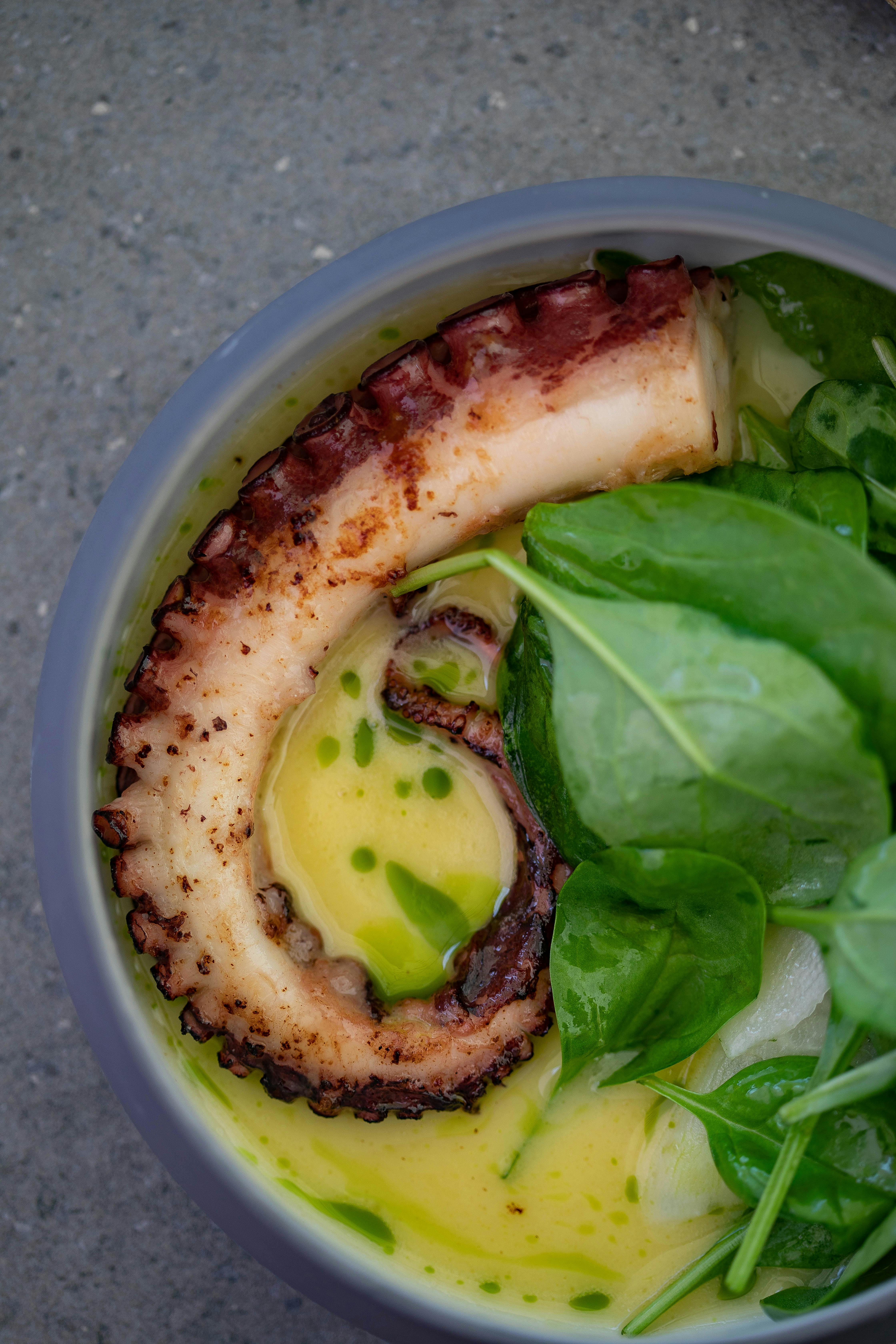 Bowl of savory octopus soup · Free Stock Photo