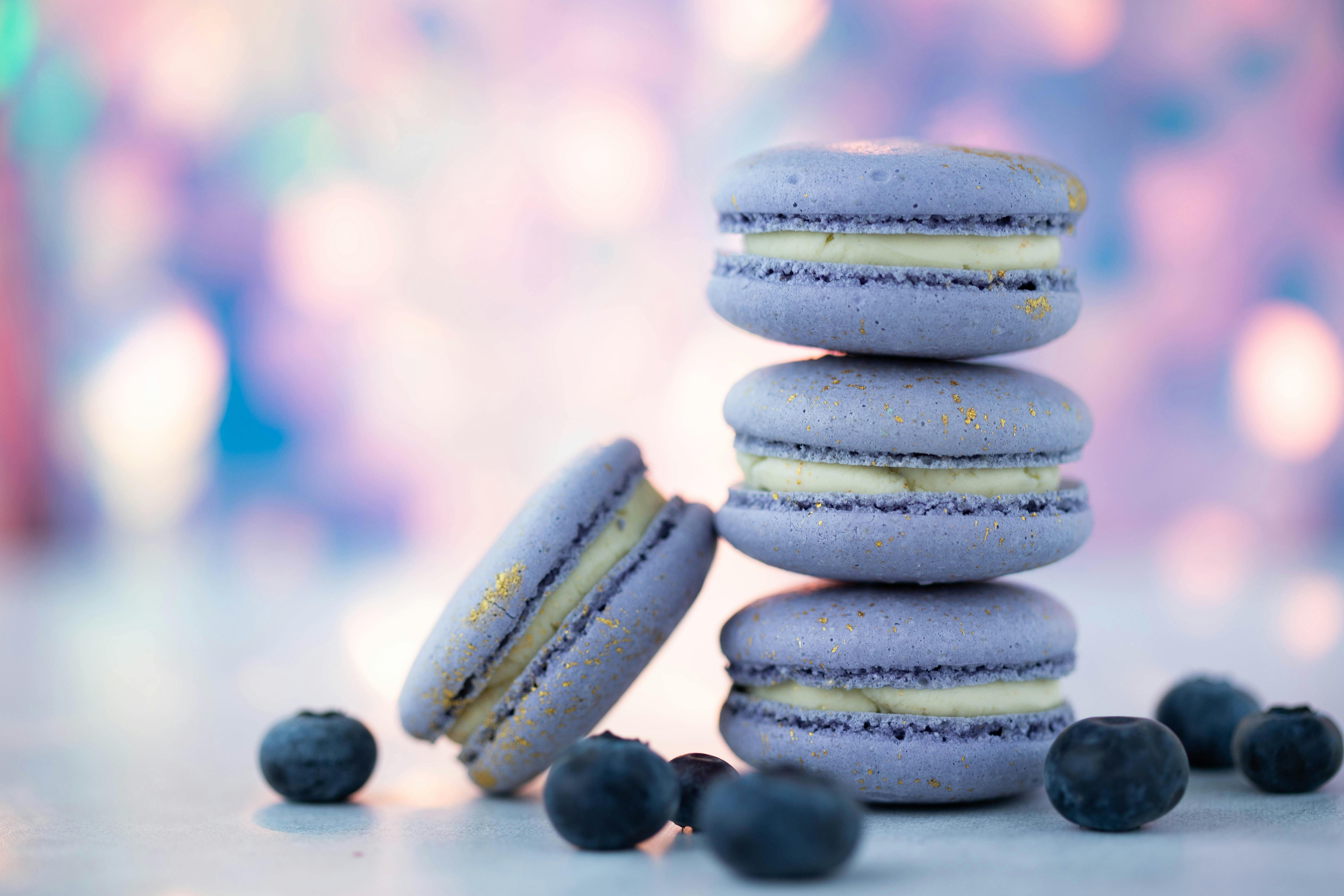 Purple macaroon placed in stack near fresh blueberries · Free Stock Photo