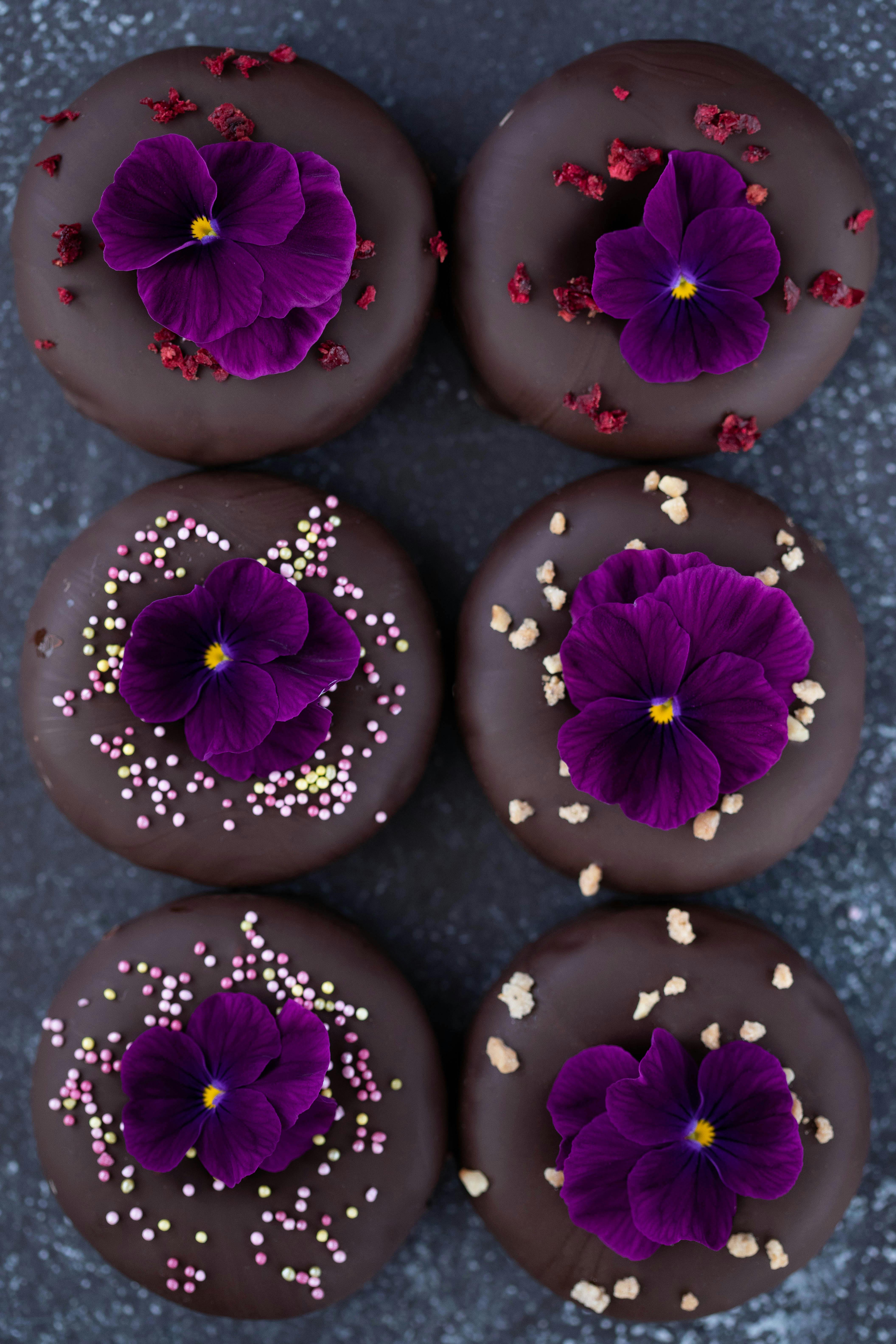 Composition of chocolate desserts with Viola flowers · Free Stock Photo