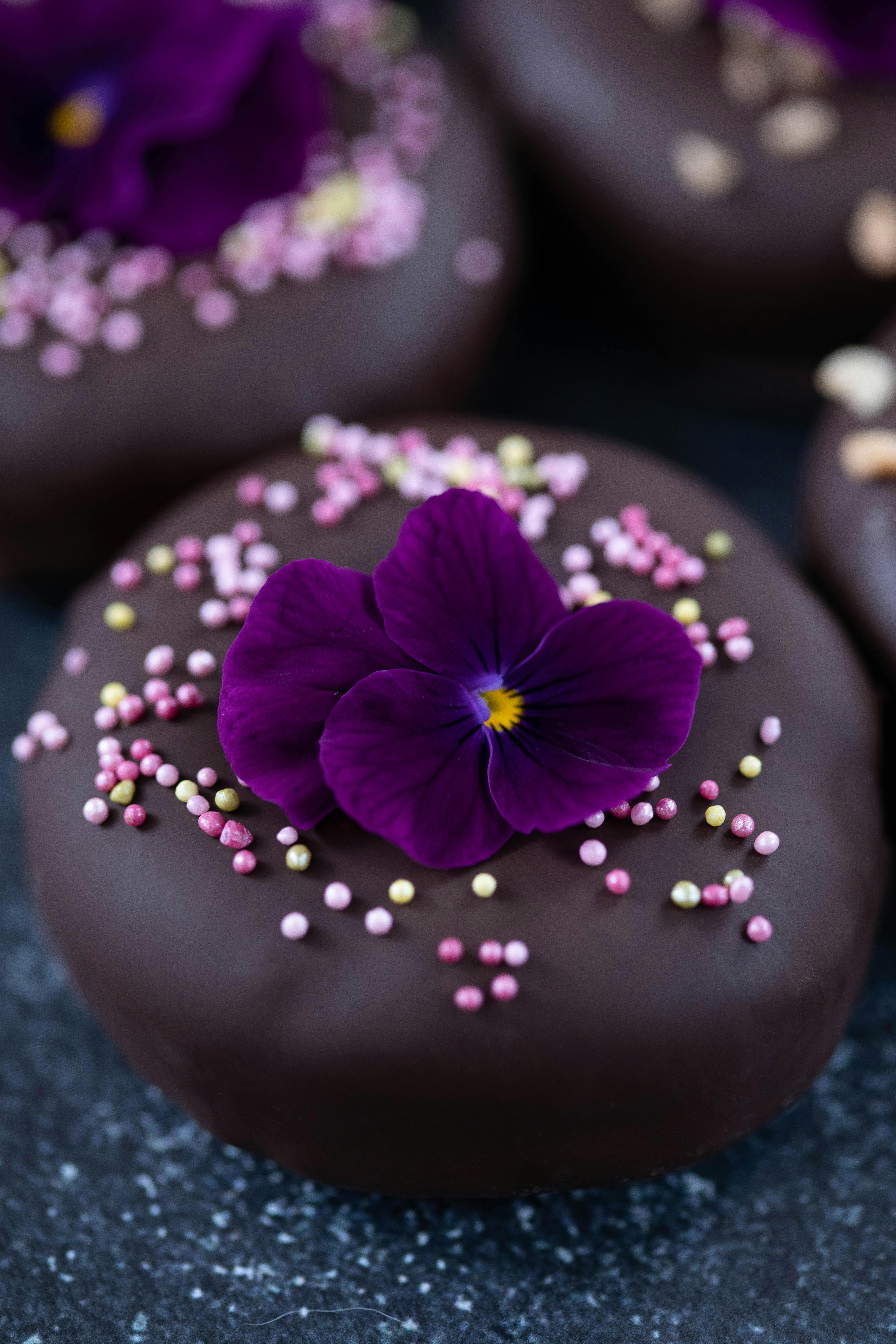 Chocolate coated donuts with Viola flower · Free Stock Photo