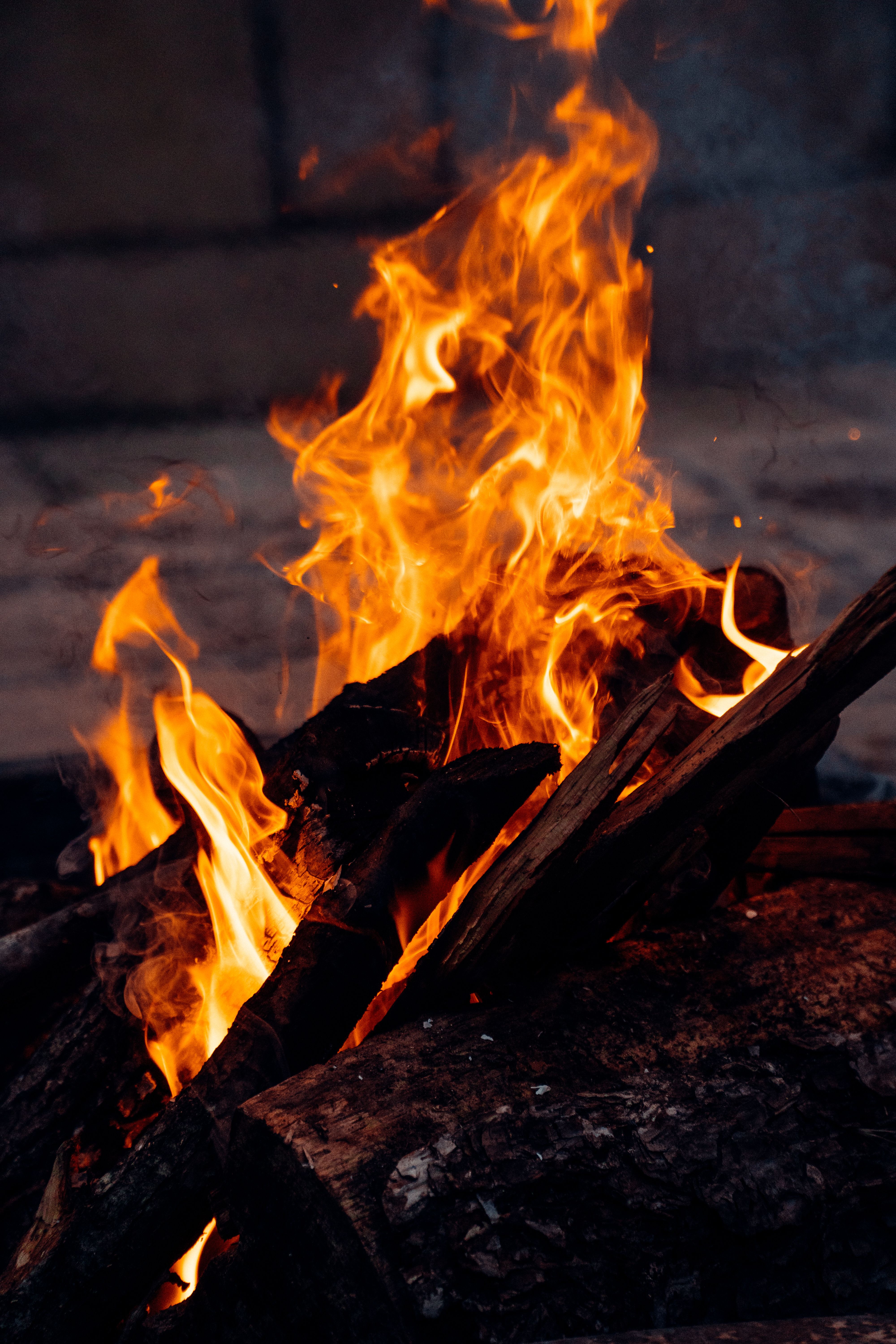 Close-Up Shot of Burning Woods · Free Stock Photo