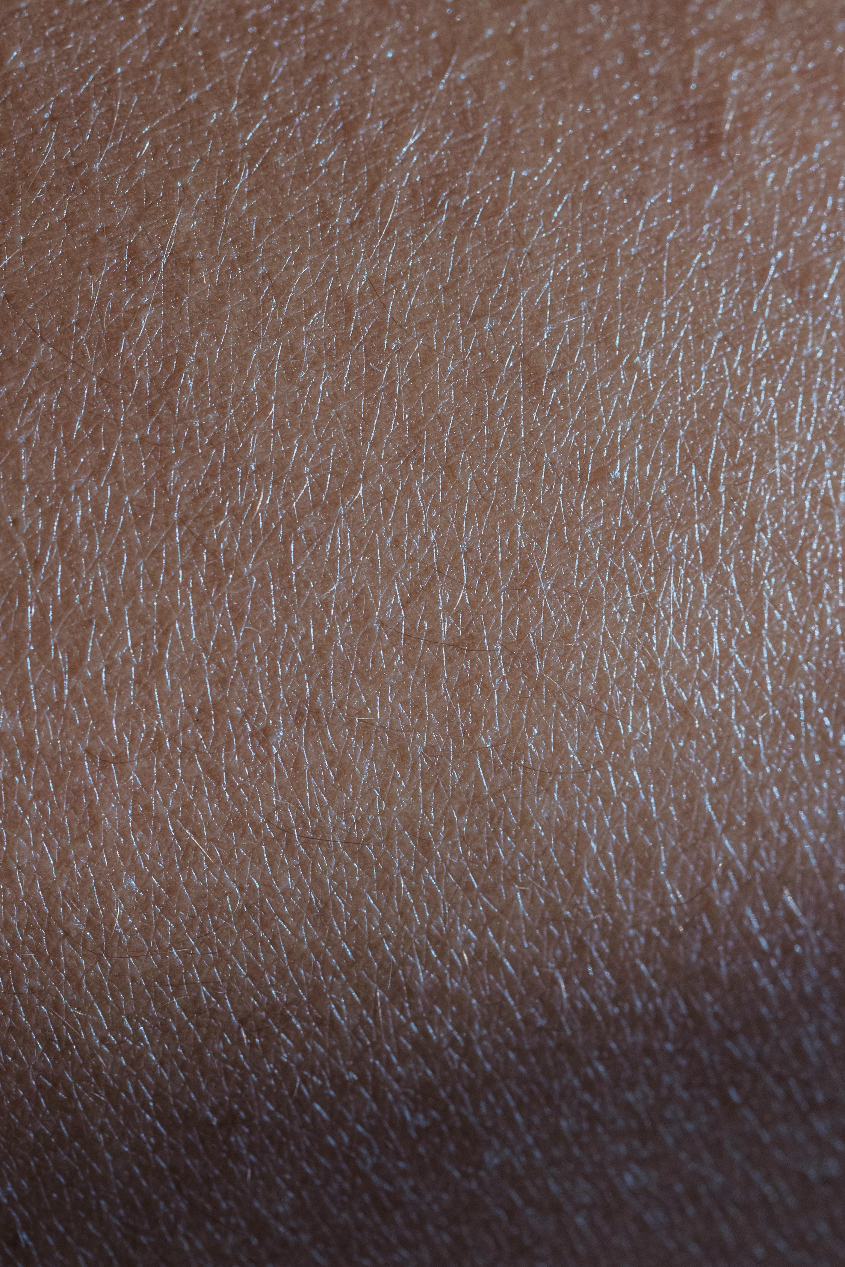 Close Up Photo of a Human Skin · Free Stock Photo