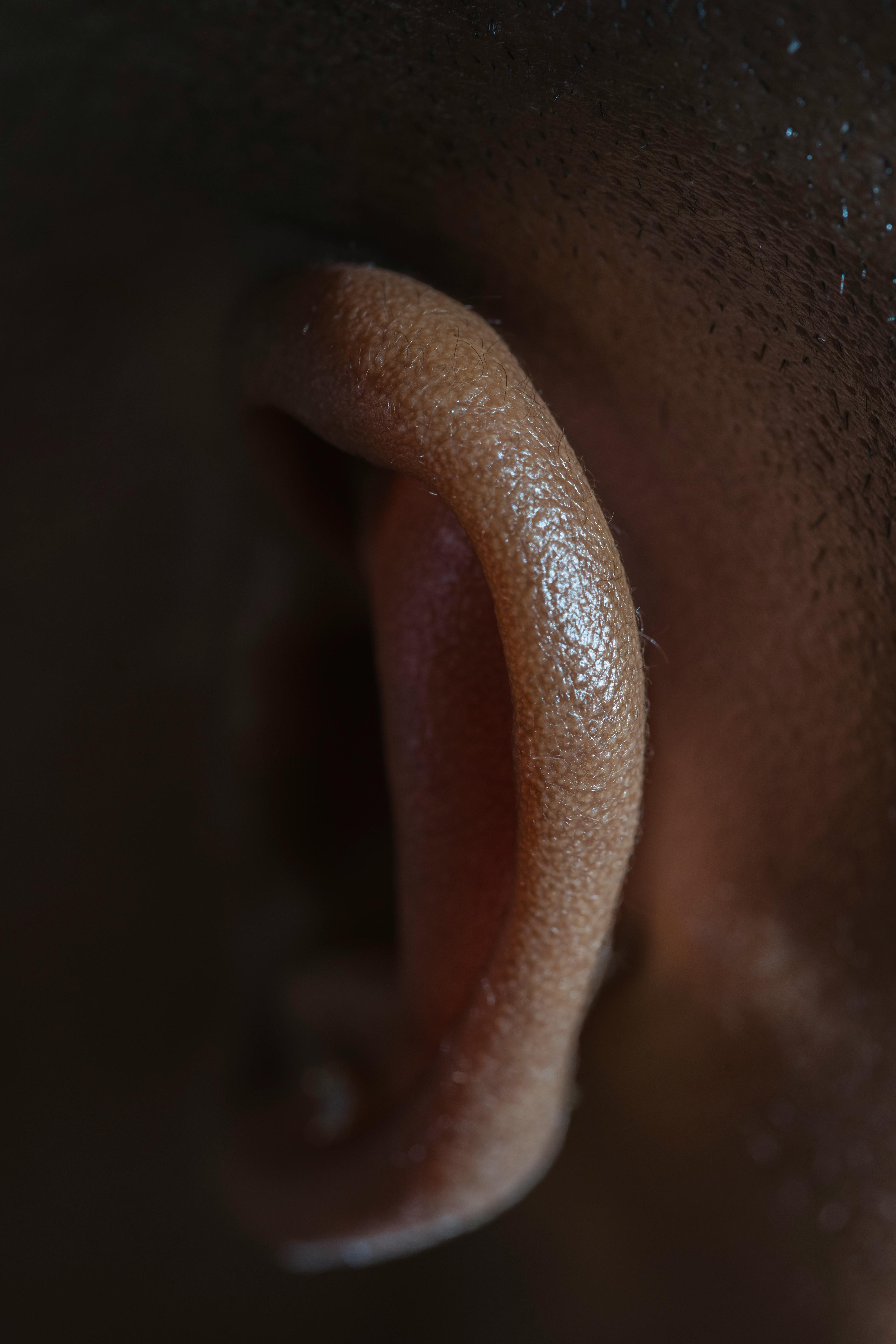 Ear of crop black model in shiny light · Free Stock Photo
