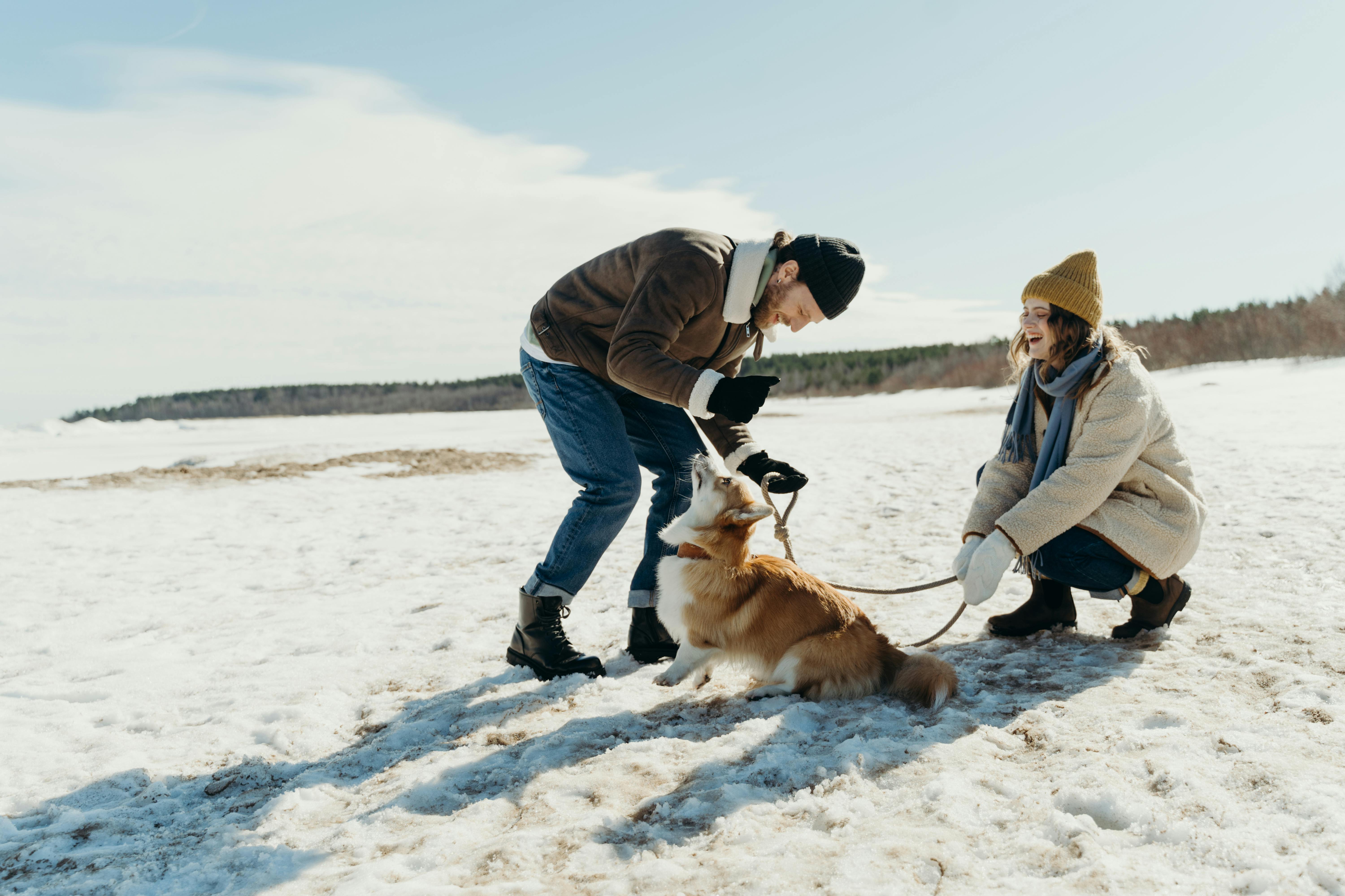 Dangerous Dog Wallpaper Photos, Download The BEST Free Dangerous Dog ...