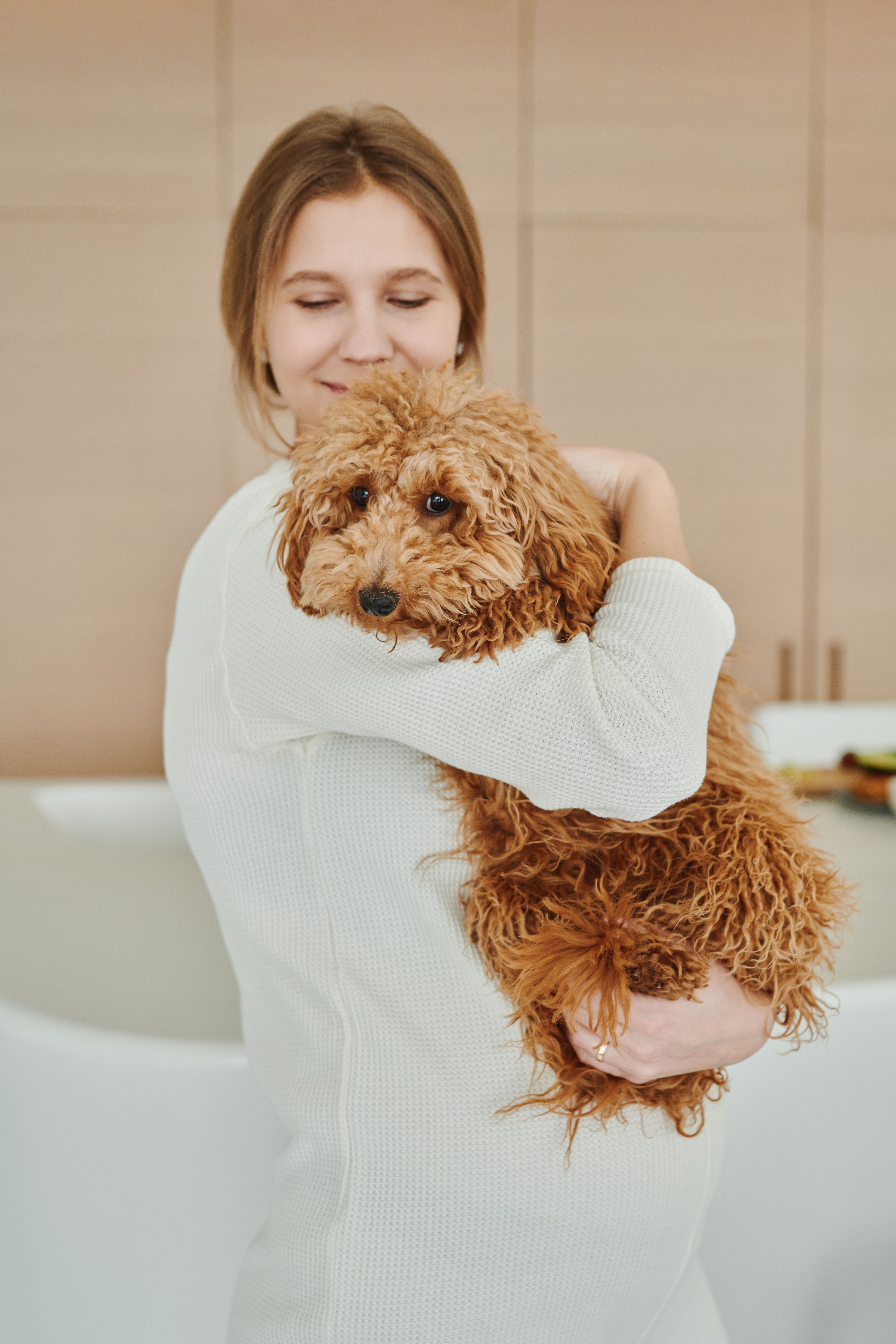 A Woman Carrying Her Dog · Free Stock Photo