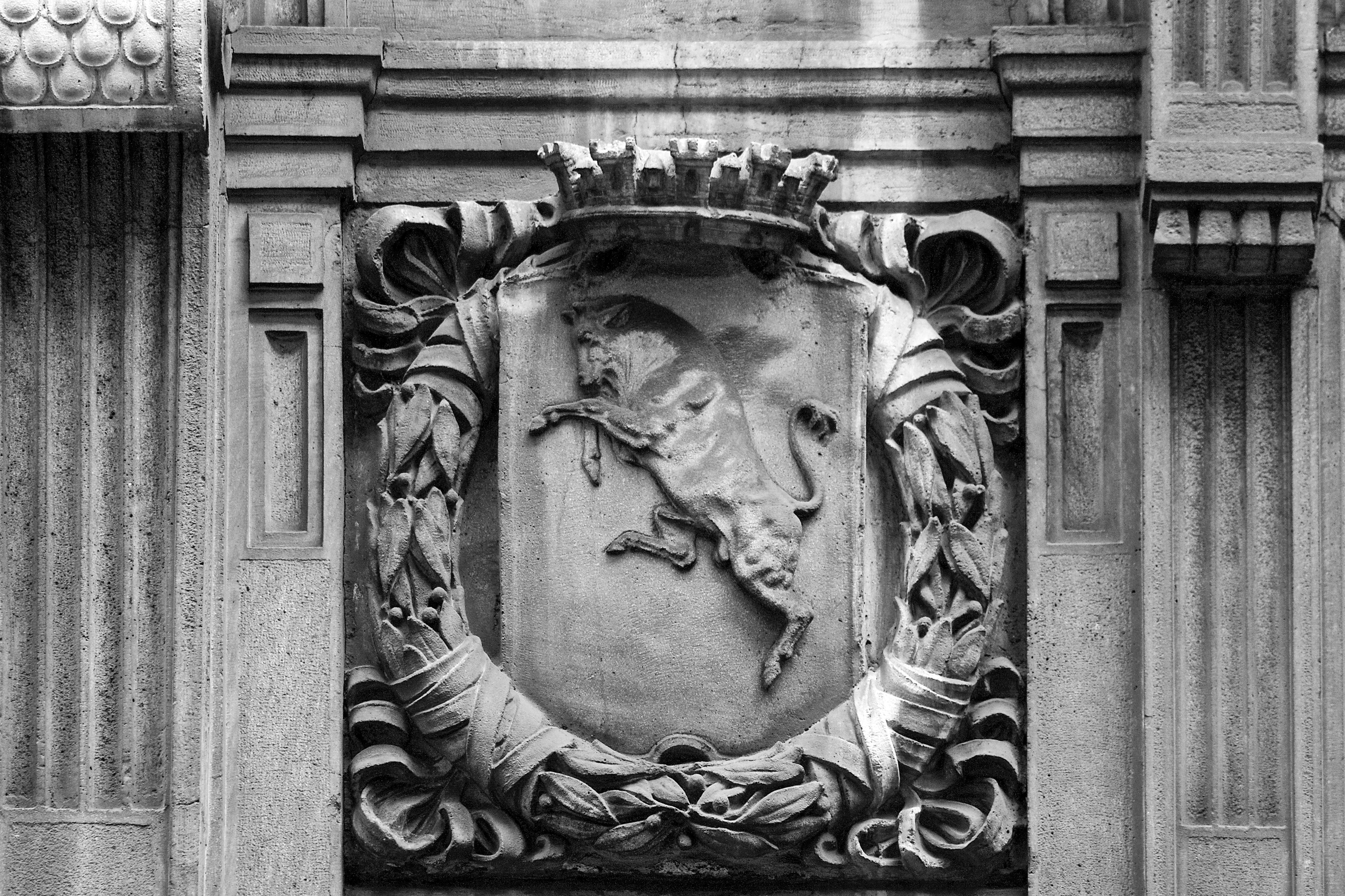 Torino Bull Photos, Download The BEST Free Torino Bull Stock Photos ...