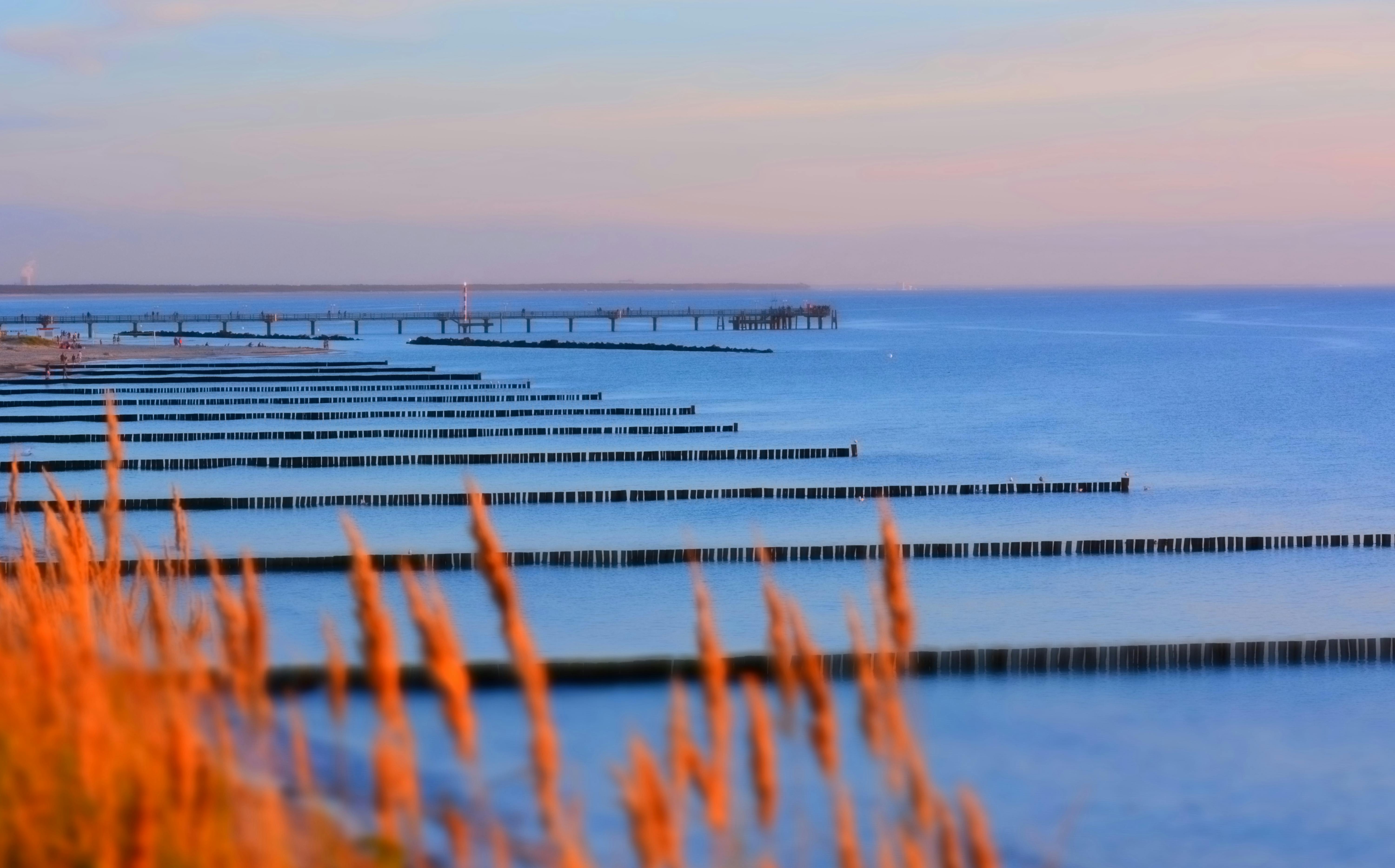 Breakwaters on Sea Shore · Free Stock Photo