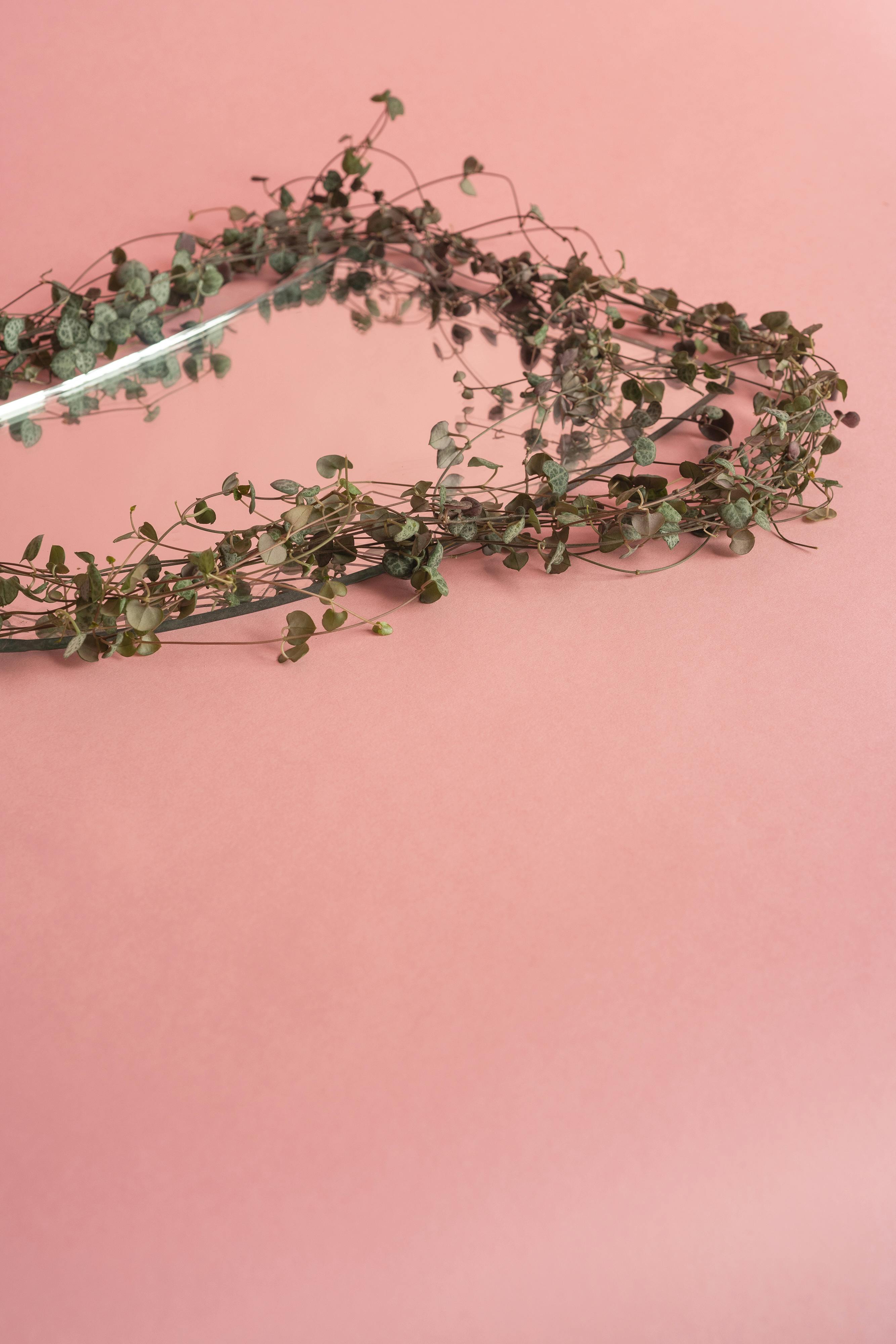 Mirror Overlay Photos, Download The BEST Free Mirror Overlay Stock ...