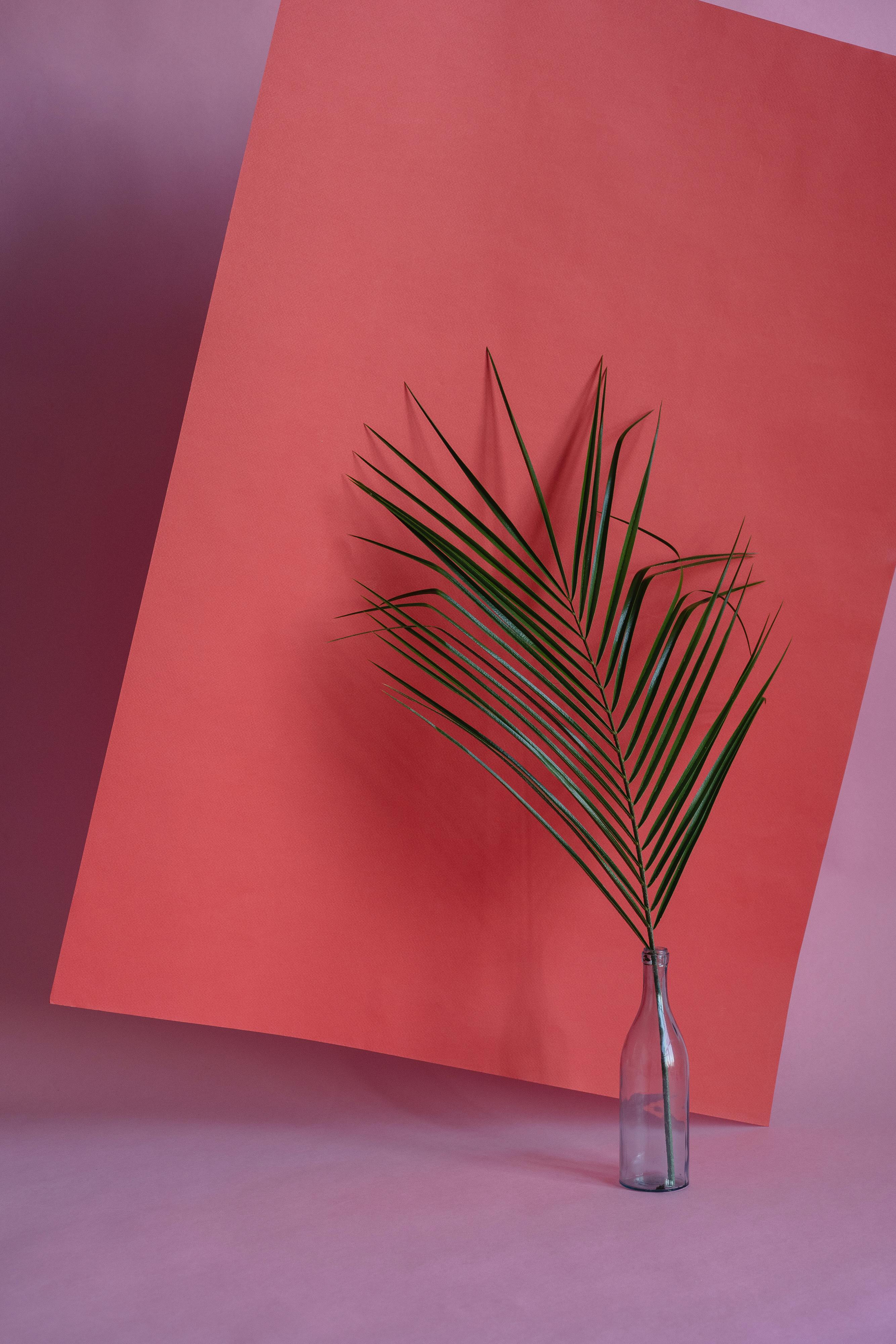 Red Paper Strips on the Table · Free Stock Photo