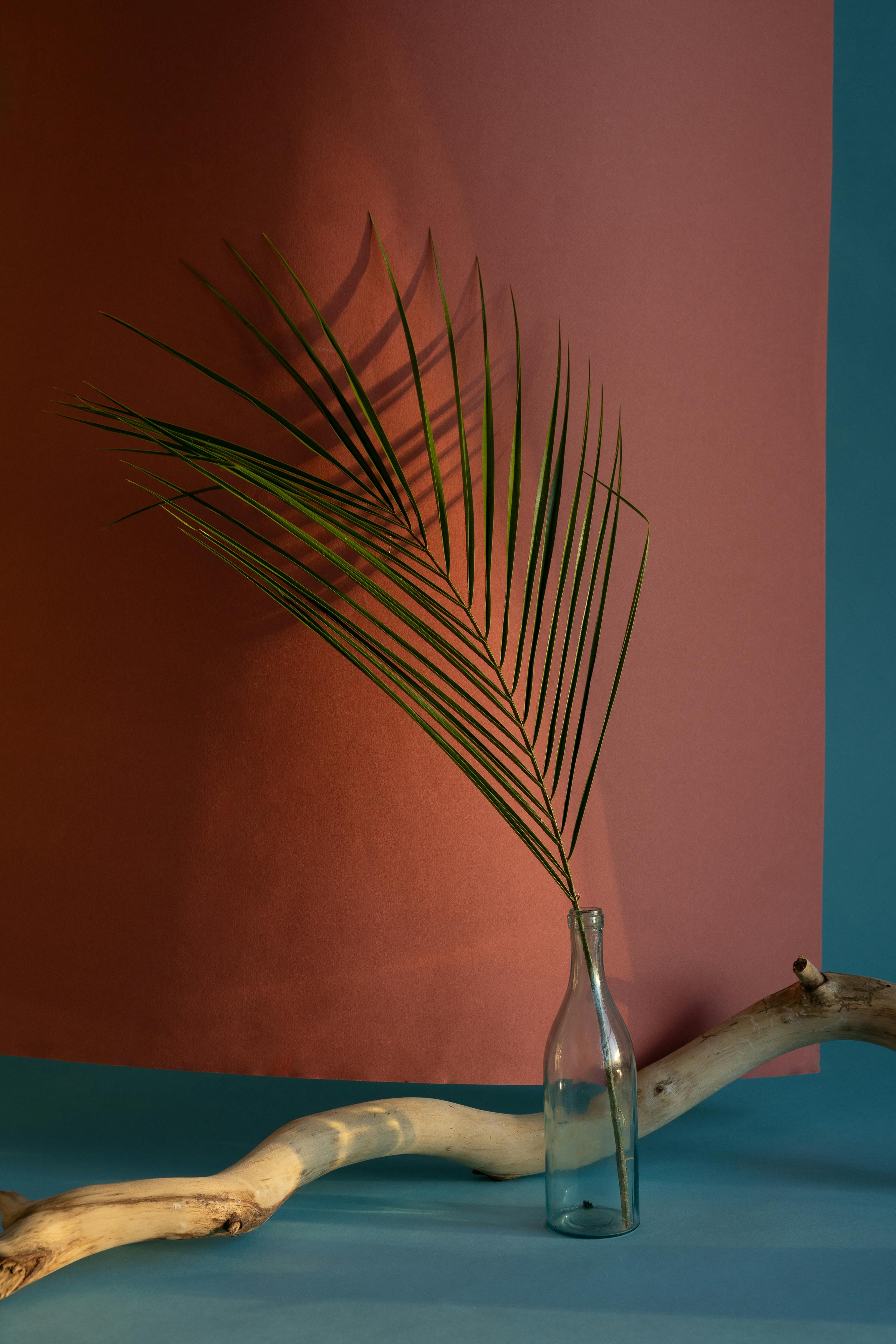 Pink World Photos, Download Free Pink World Stock Photos & HD Images