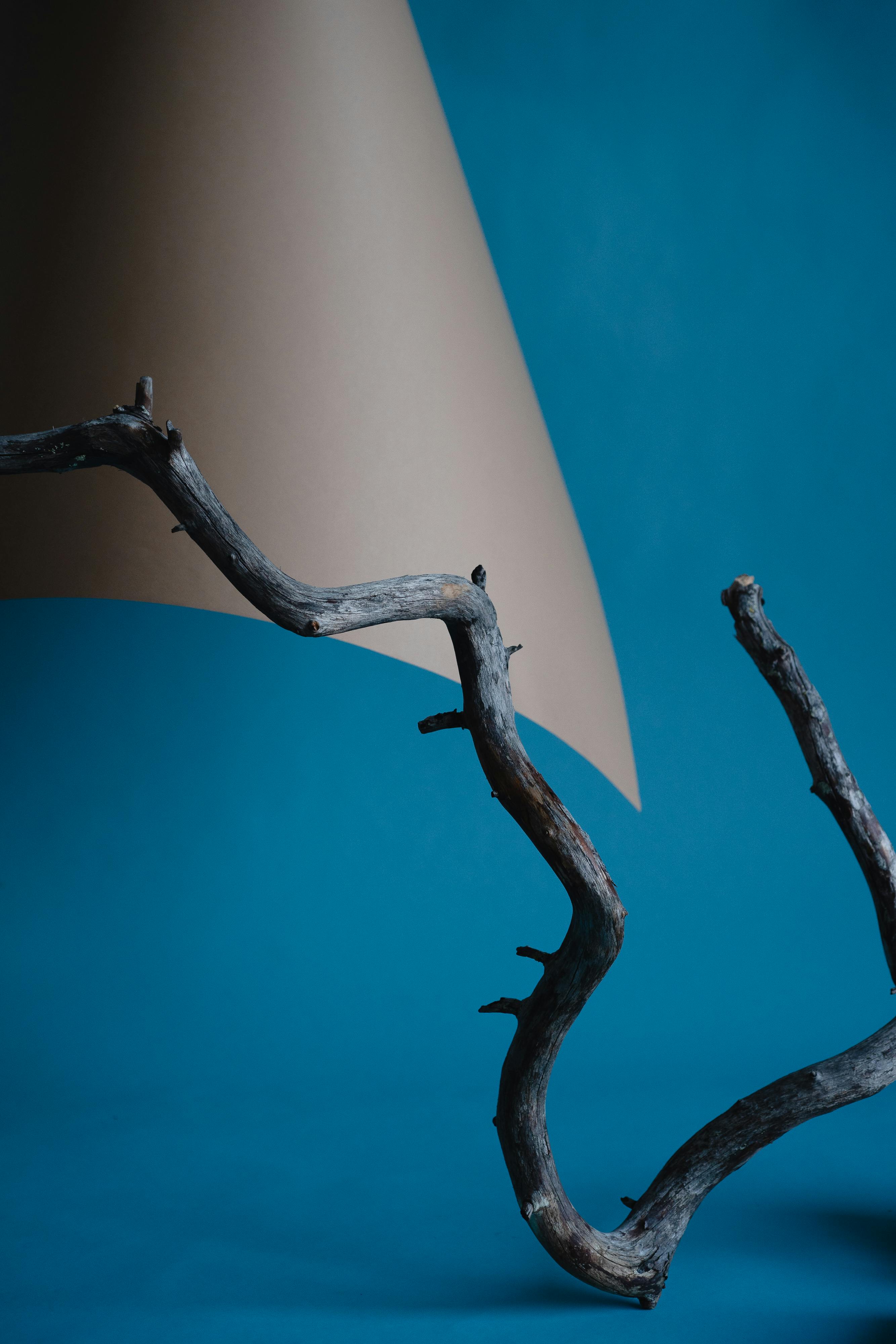 100,000+ Best Minimal Background Photos · 100% Free Download · Pexels ...