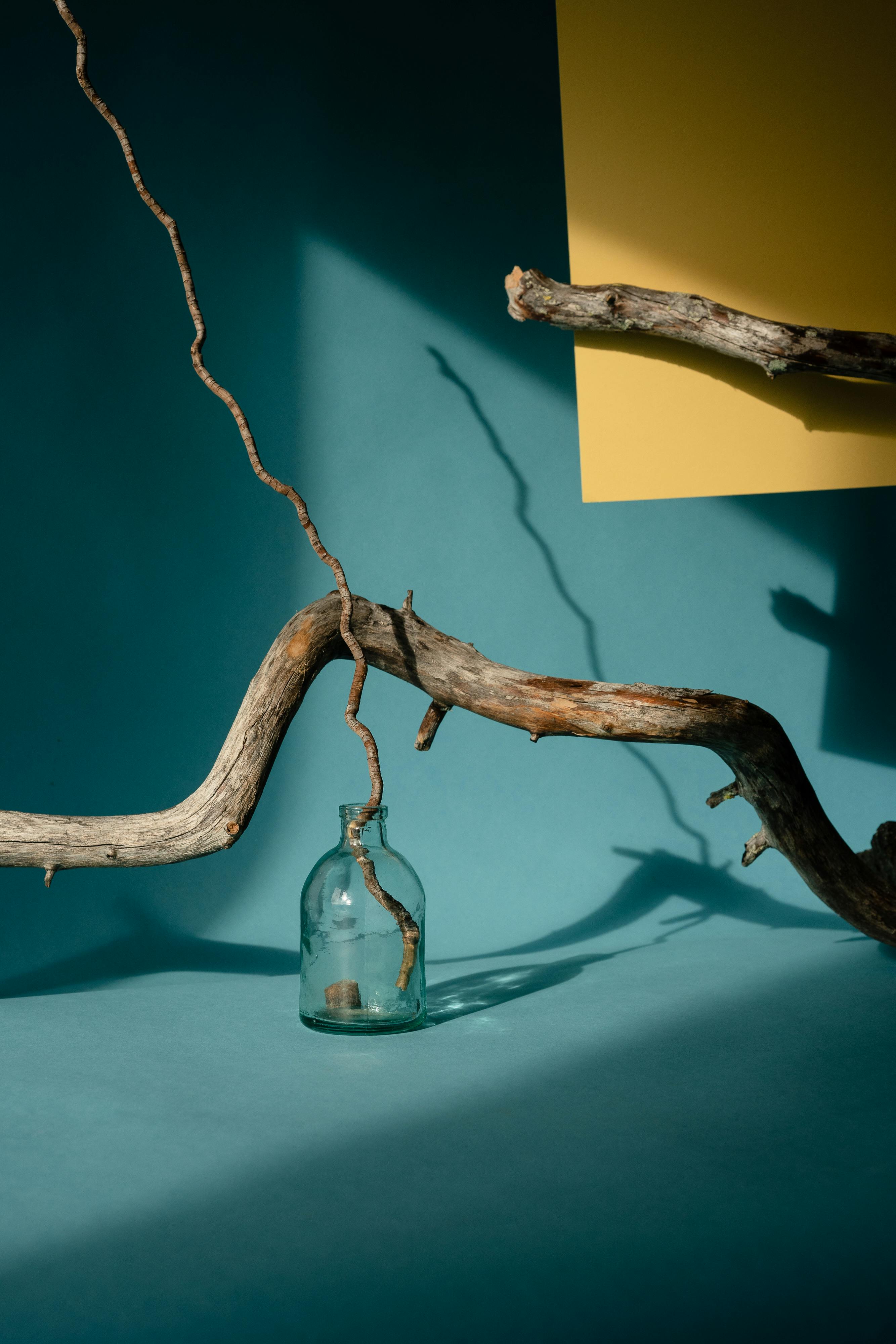 100,000+ Best Minimal Background Photos · 100% Free Download · Pexels ...