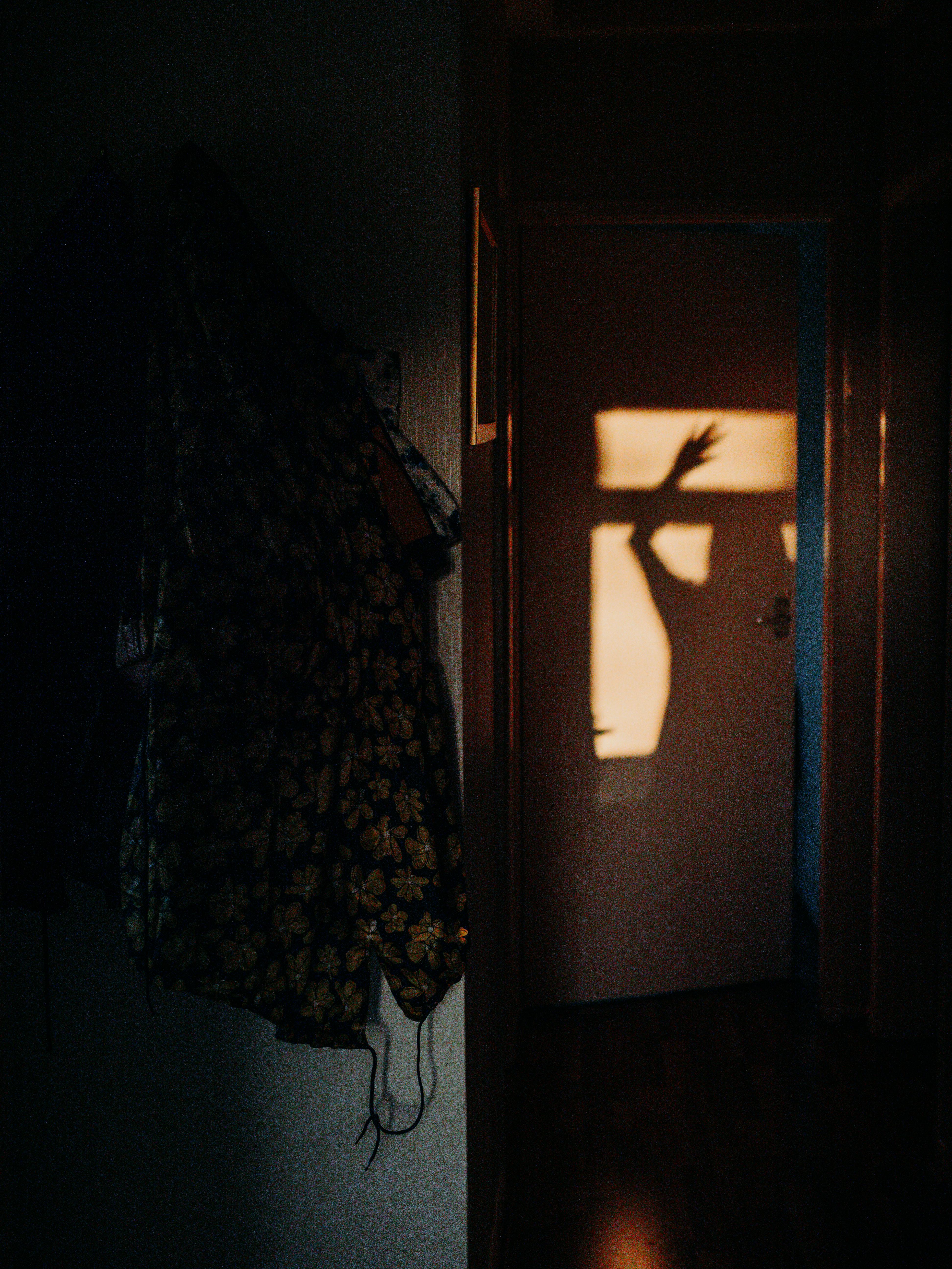 Shadow of a Person on the Door · Free Stock Photo