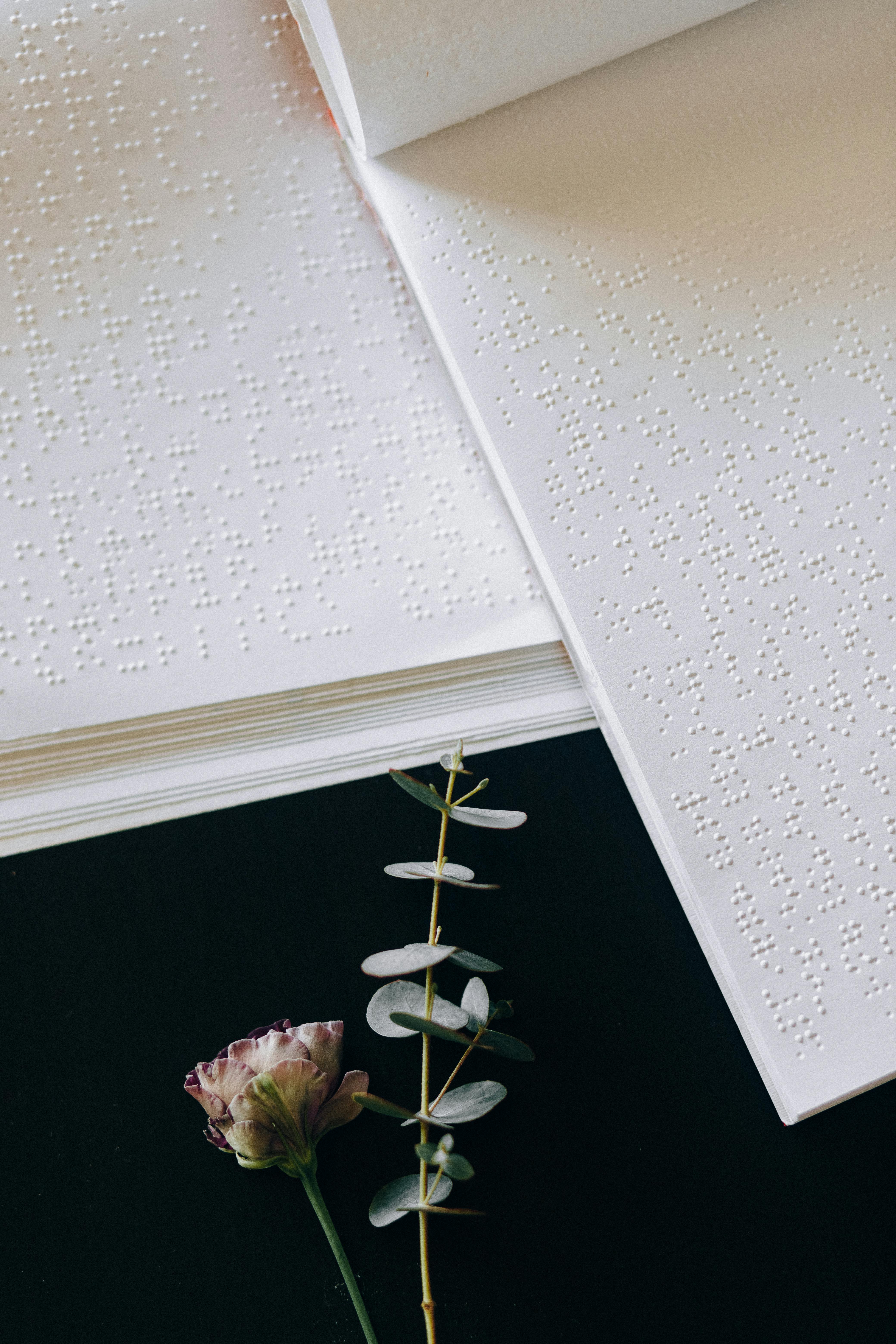 Close-up Shot of a Open Braille Book with Flower · Free Stock Photo
