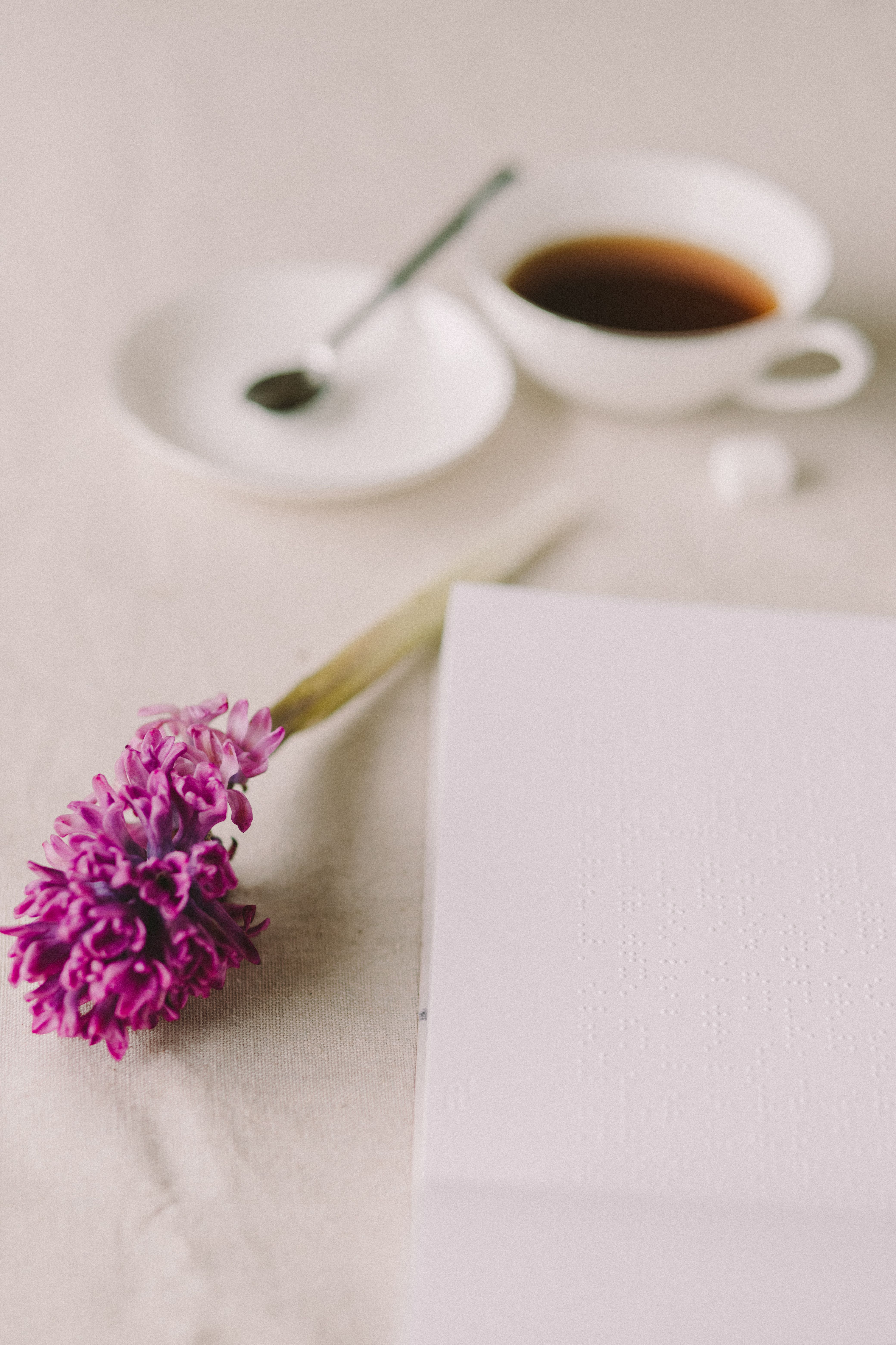 A Purple Flower and Braille Book on the Table · Free Stock Photo