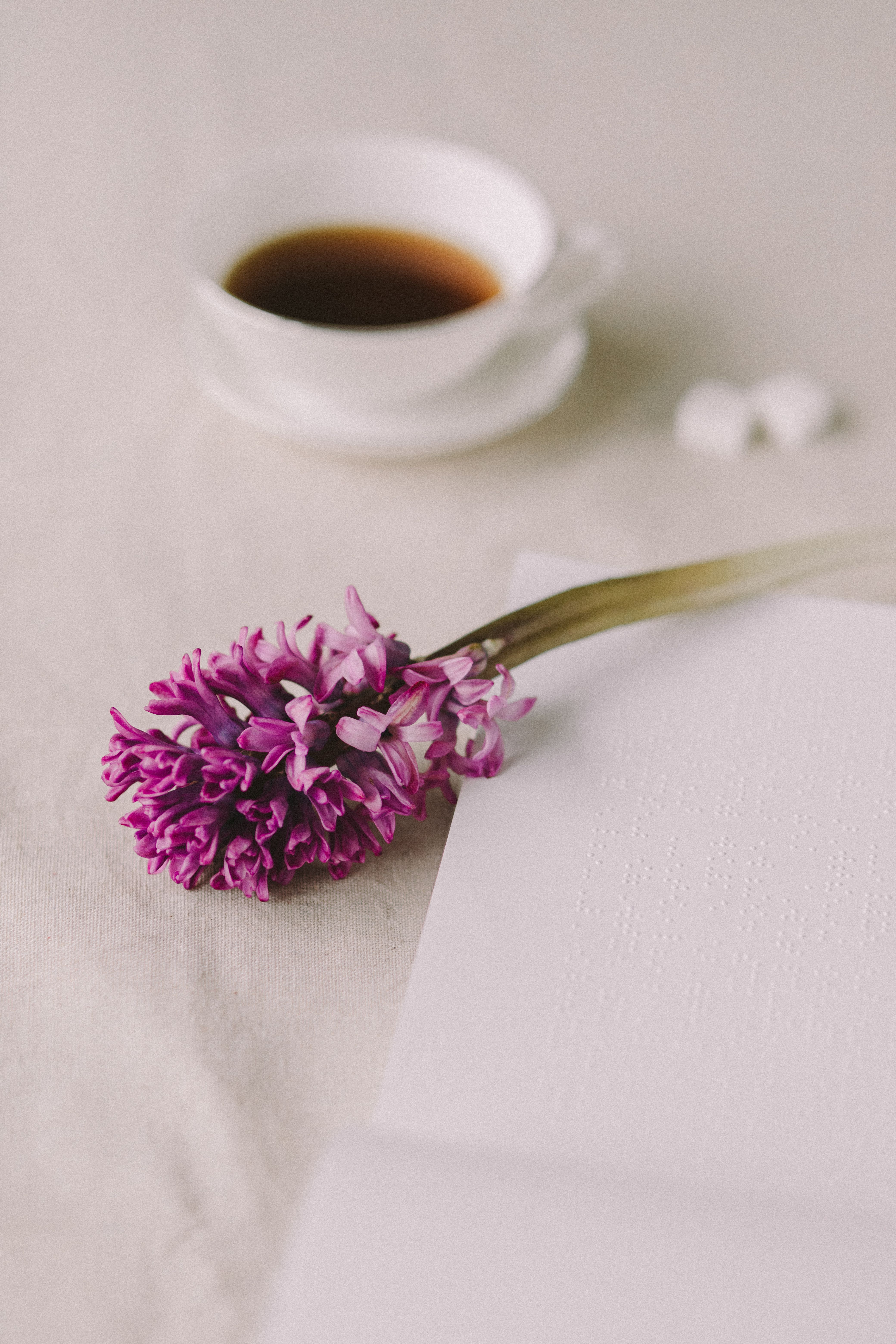 A Purple Flower and Braille Book on the Table · Free Stock Photo