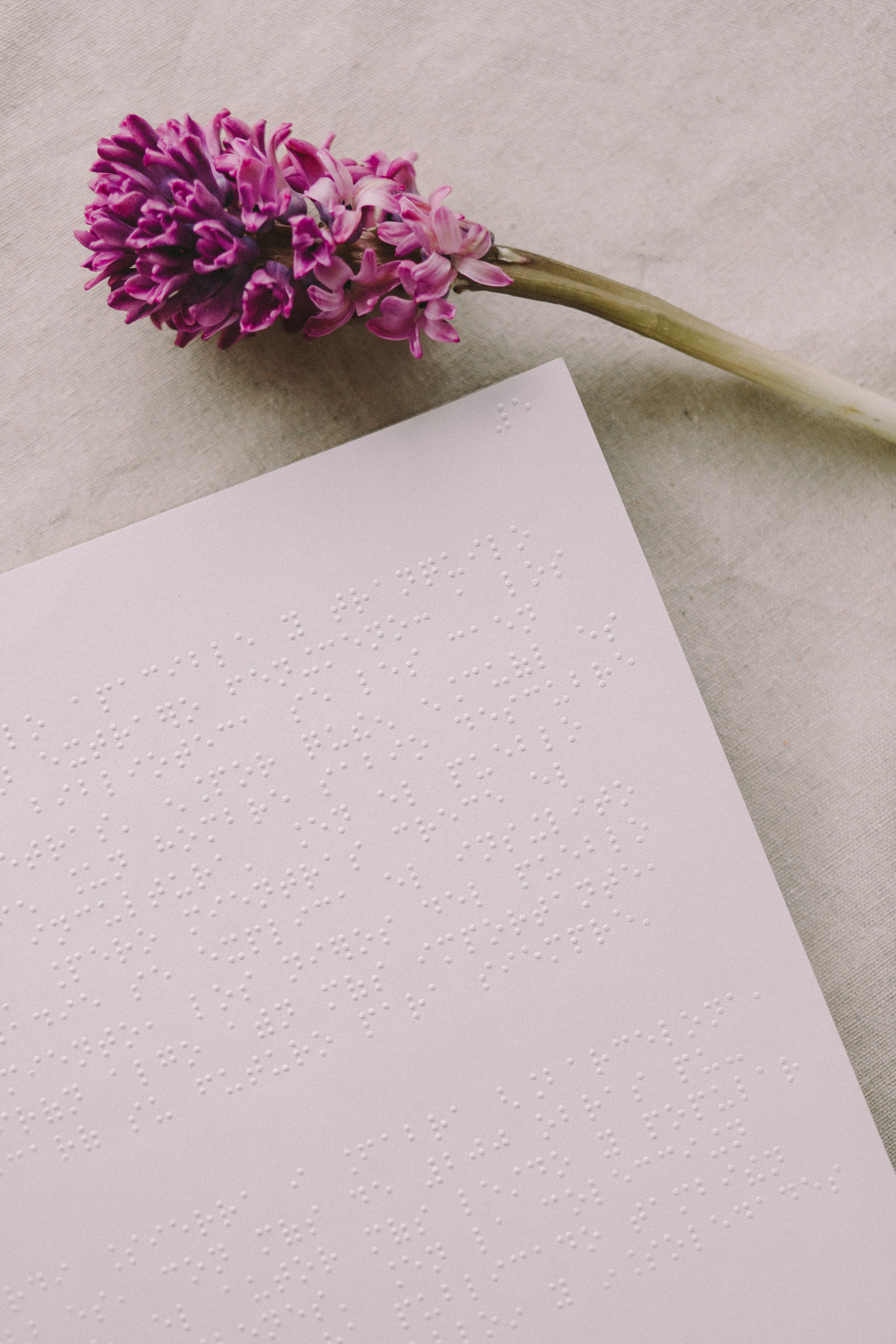 A Purple Flower and Braille Book on the Table · Free Stock Photo