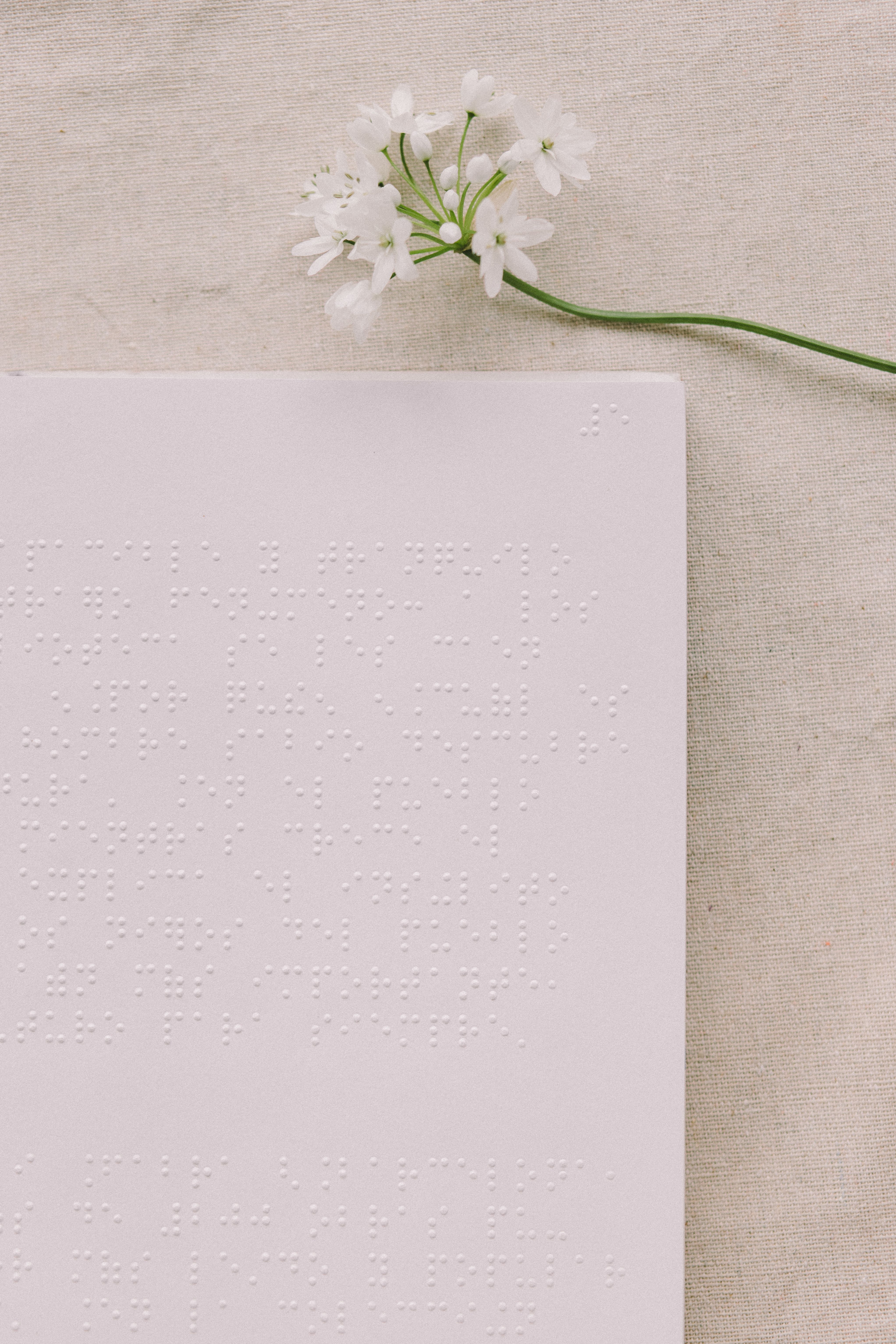 Top View of a White Flower and Braille Book · Free Stock Photo