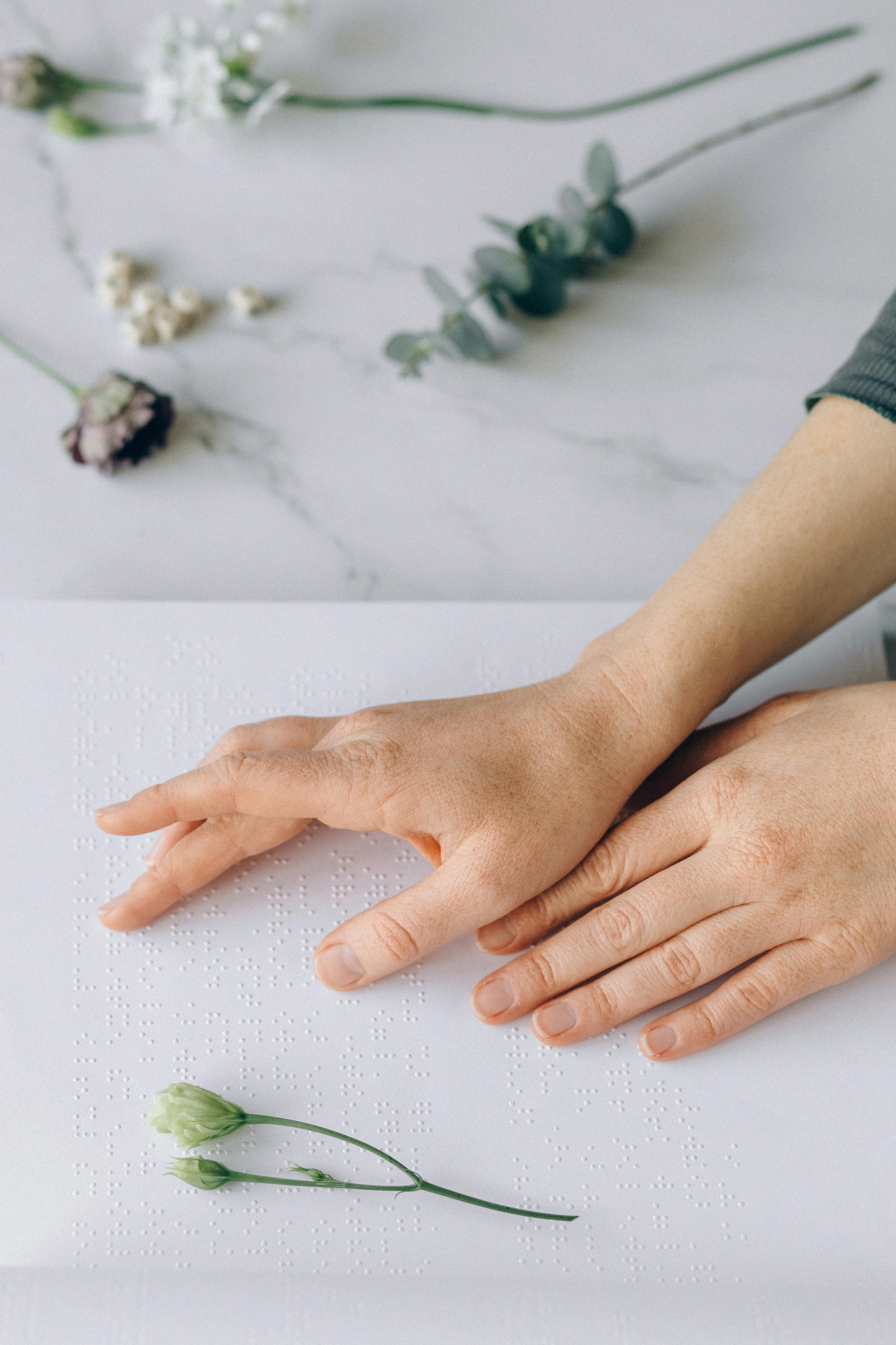 Bud Braille Photos, Download The BEST Free Bud Braille Stock Photos ...