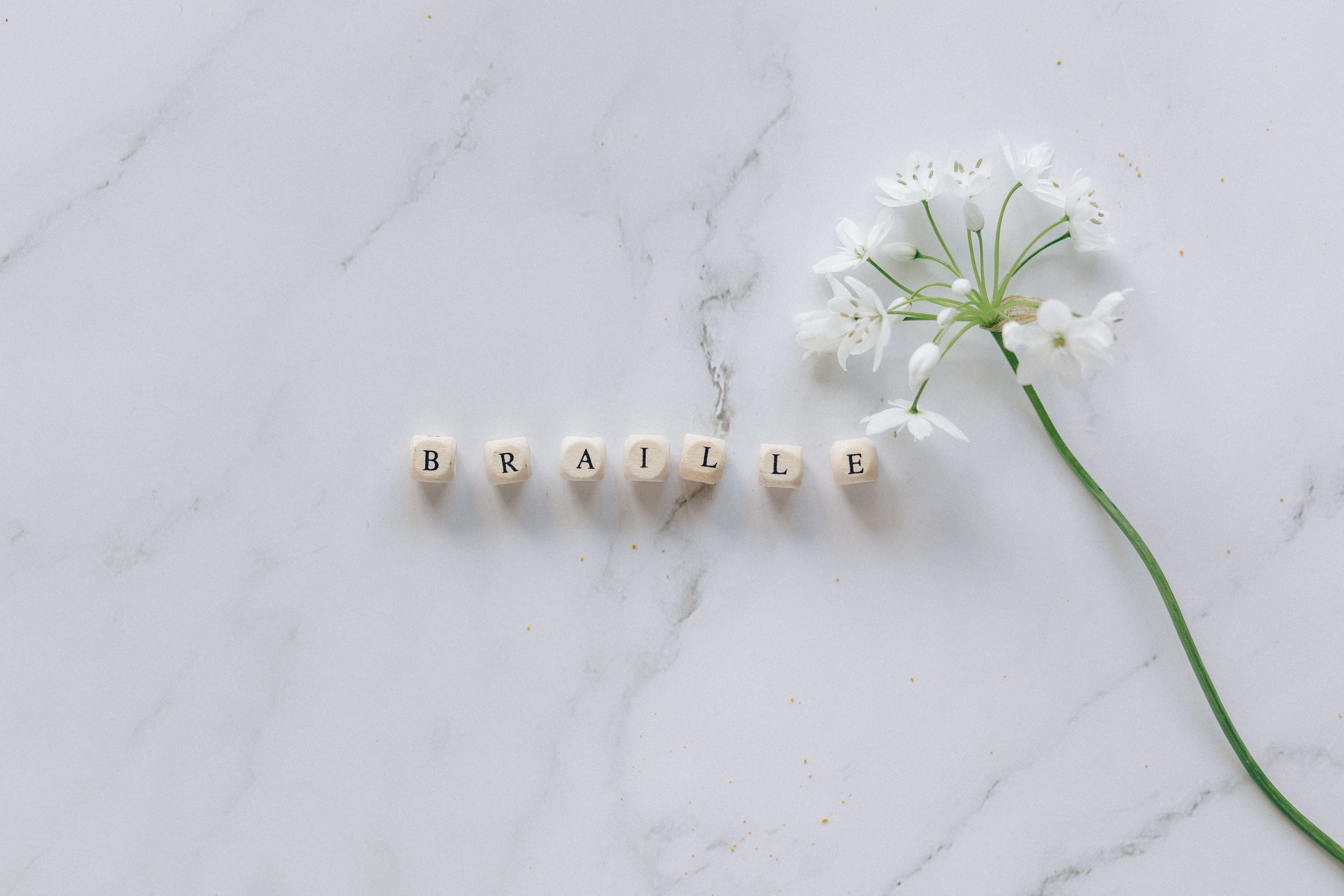 Braille Text near White Flower · Free Stock Photo