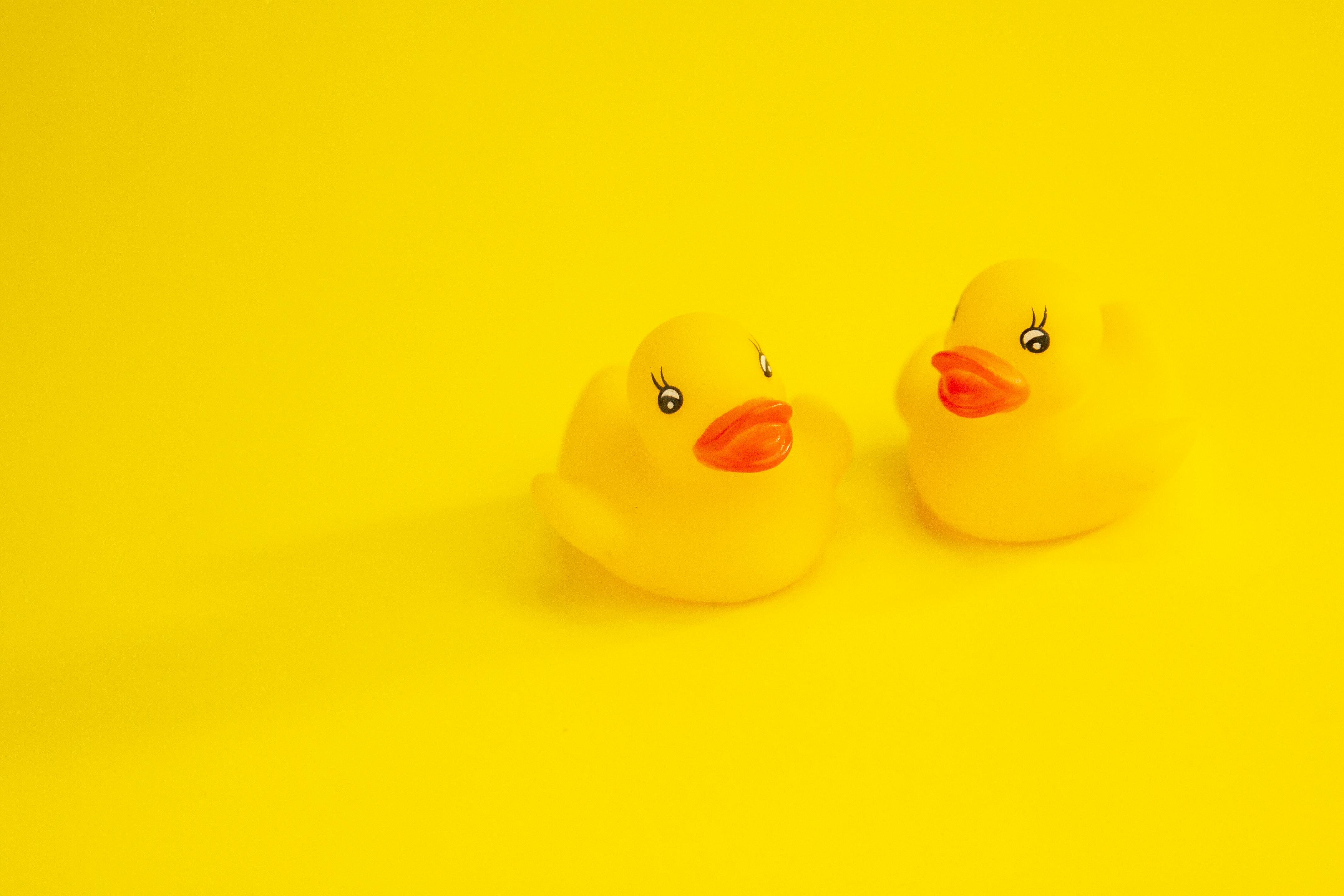 Rubber Duck Background Photos, Download The BEST Free Rubber Duck ...