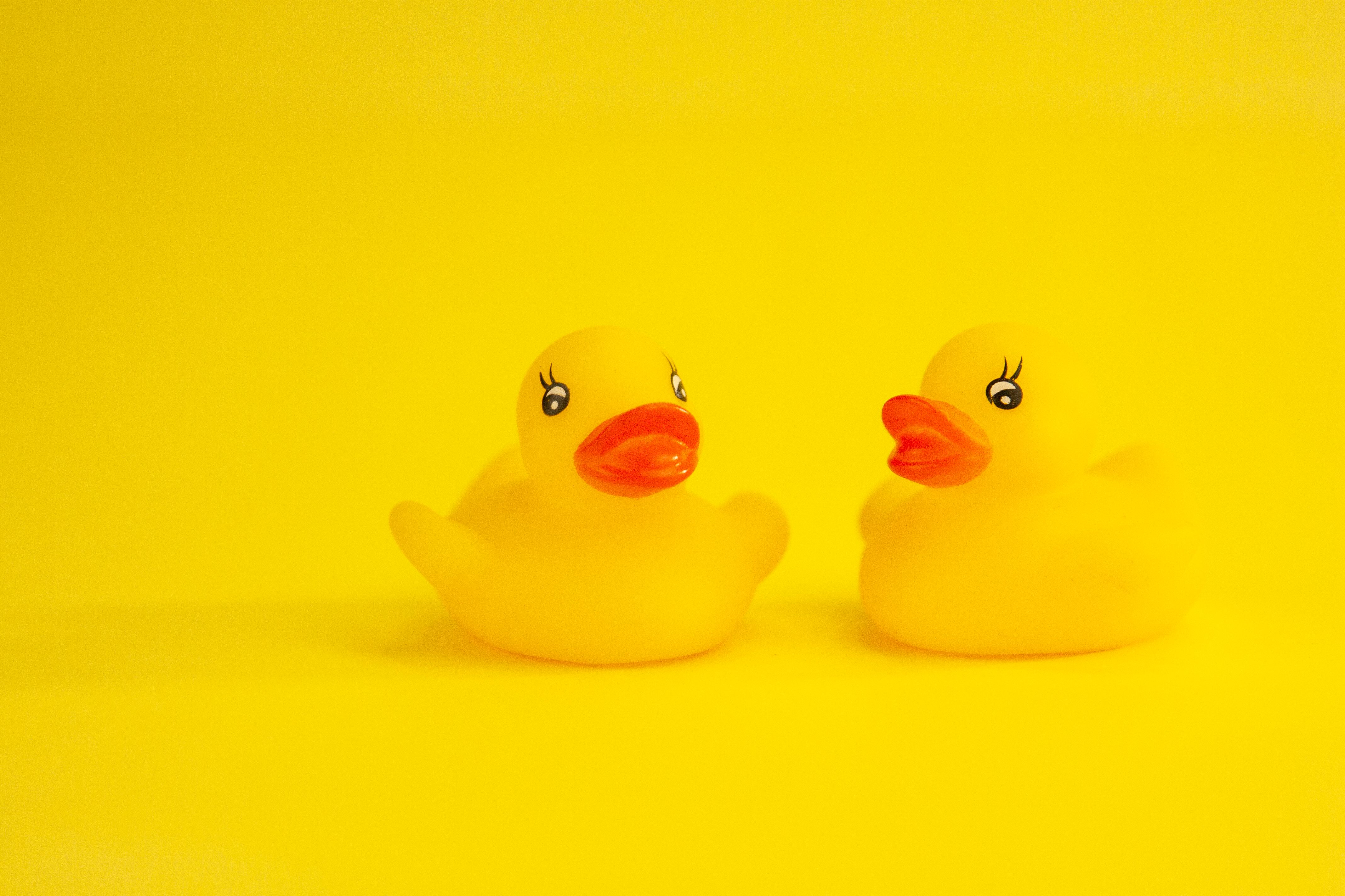 4,000+ Best Rubber Duck Photos · 100% Free Download · Pexels Stock Photos