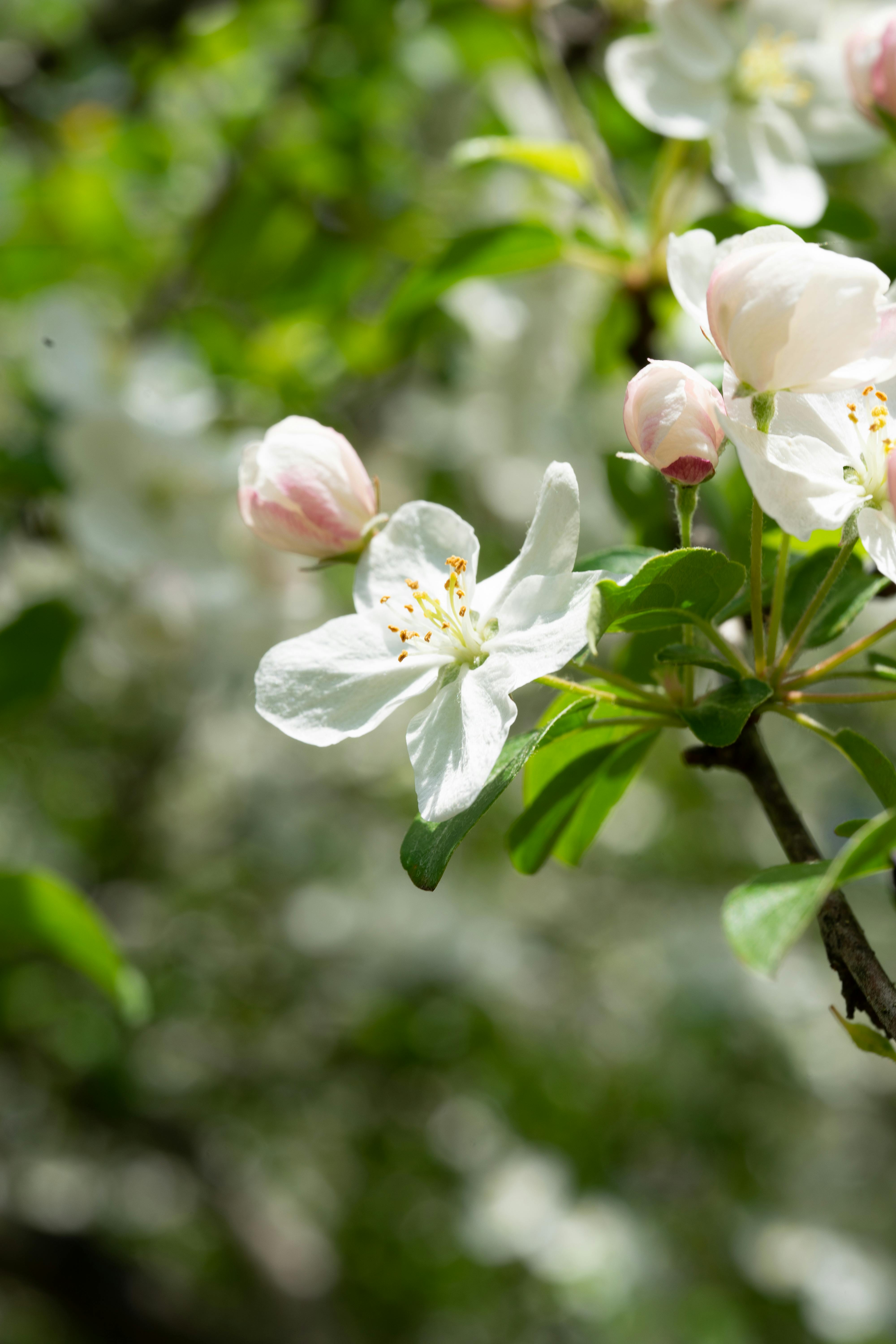 Pexels User - Photography