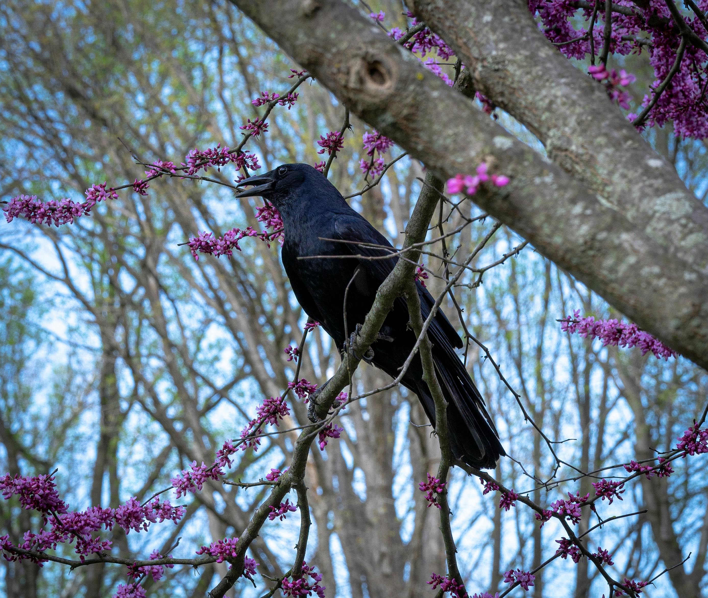 Pexels User - Photography