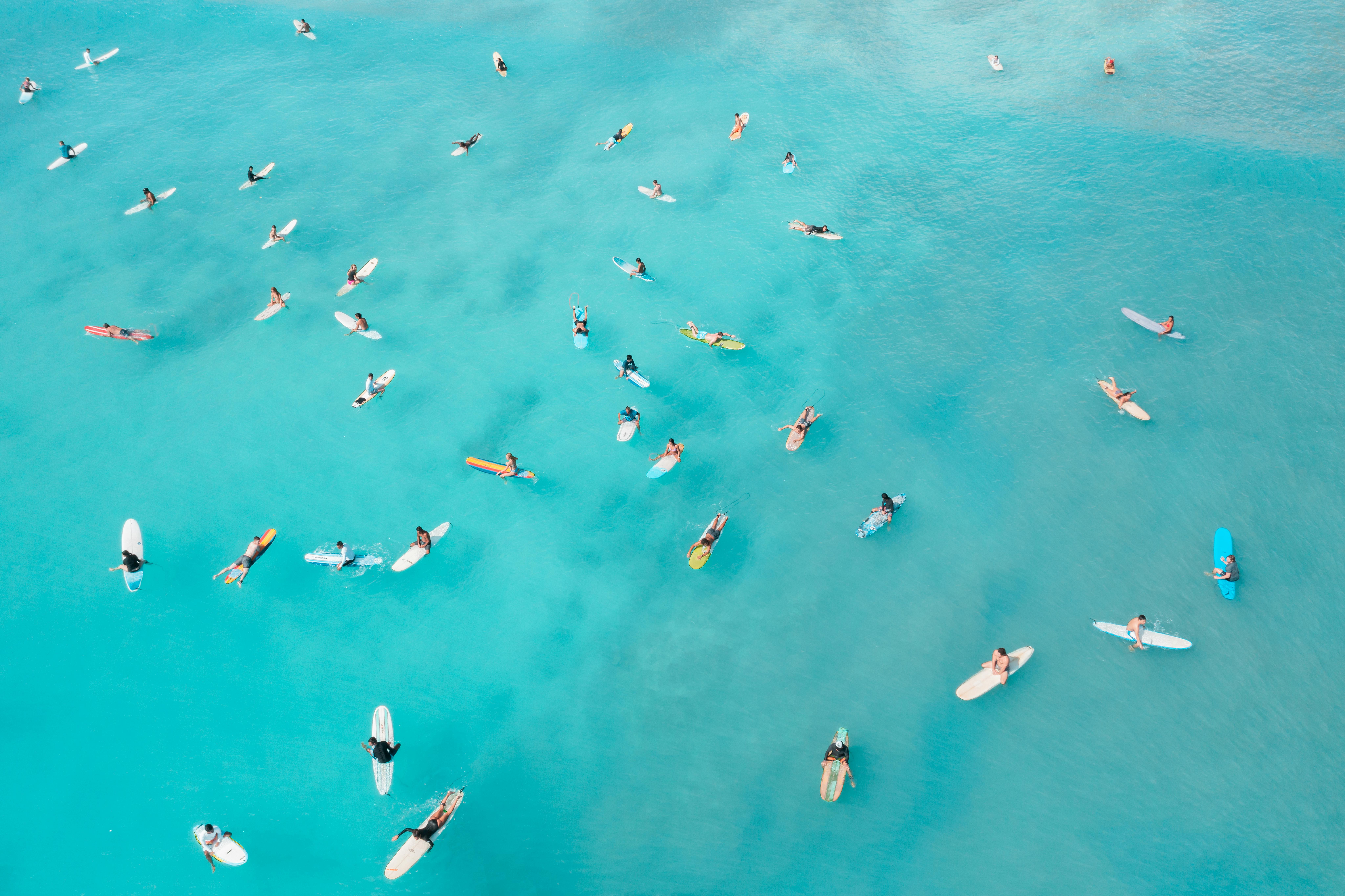 People in the Sea Water · Free Stock Photo