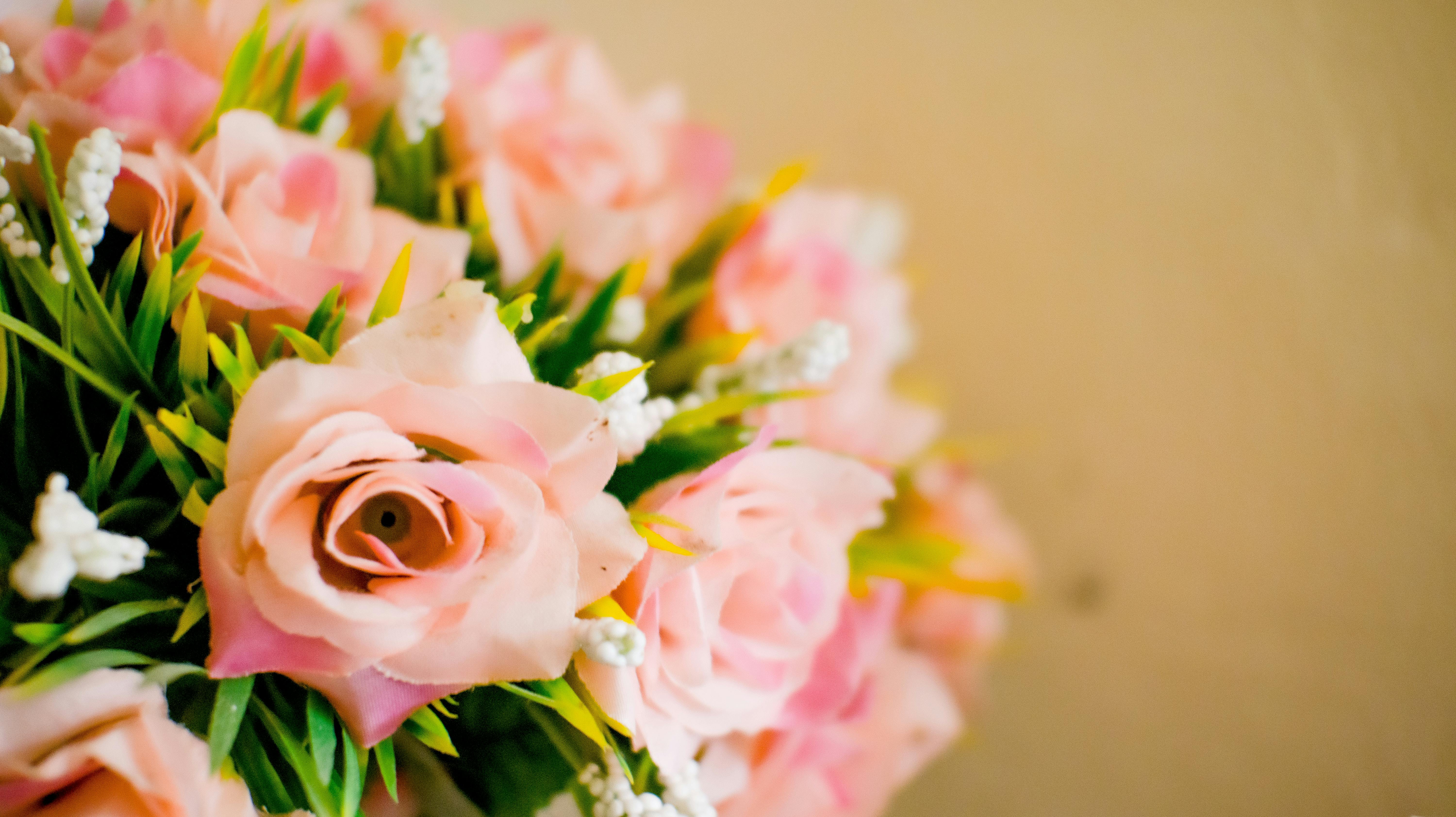 Bouquet of fresh roses with greenery · Free Stock Photo