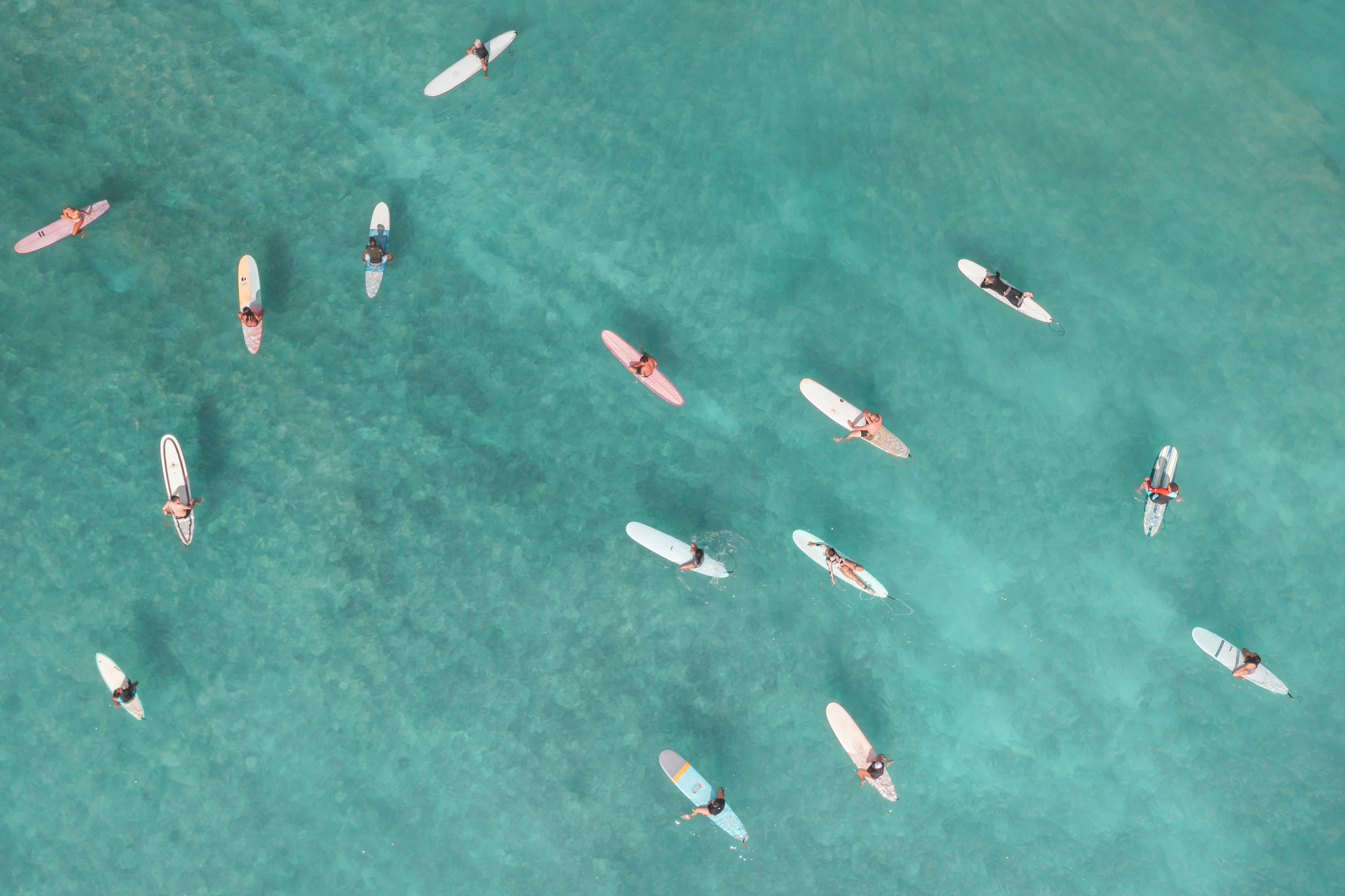 Top View of People on Surfboards · Free Stock Photo