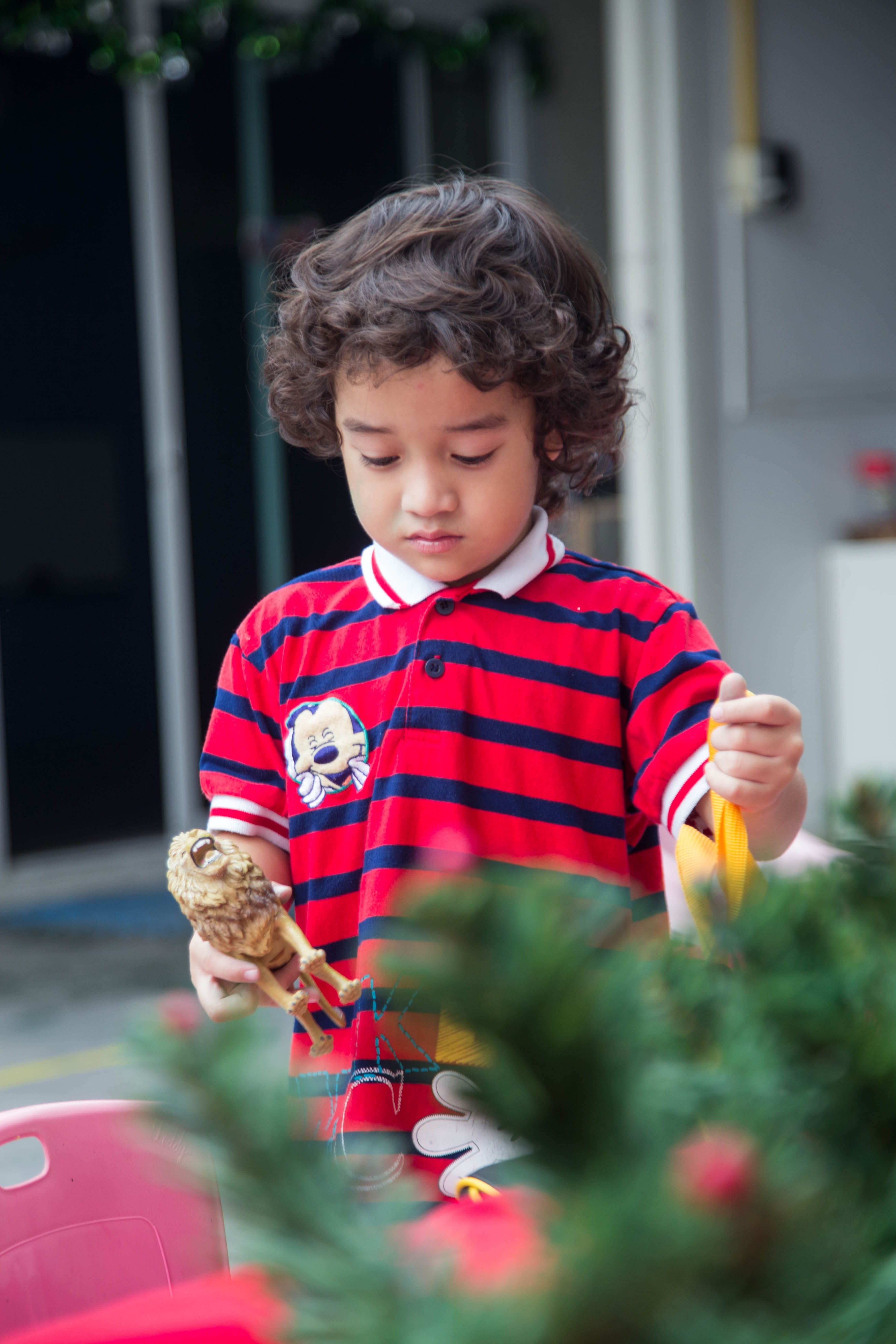 Portrait of a Boy Holding a Toy · Free Stock Photo